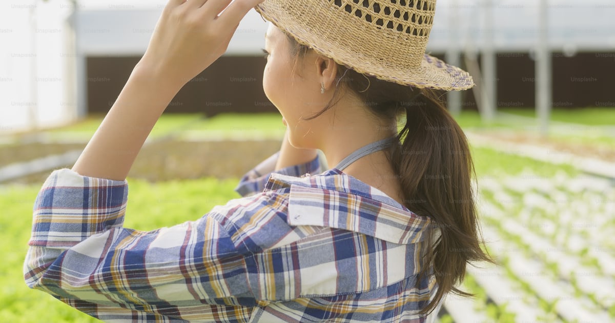 水耕栽培の温室農場で働く若い女性農家、クリーンな食品と健康的な食事のコンセプトの写真 成功 Unsplashの写真