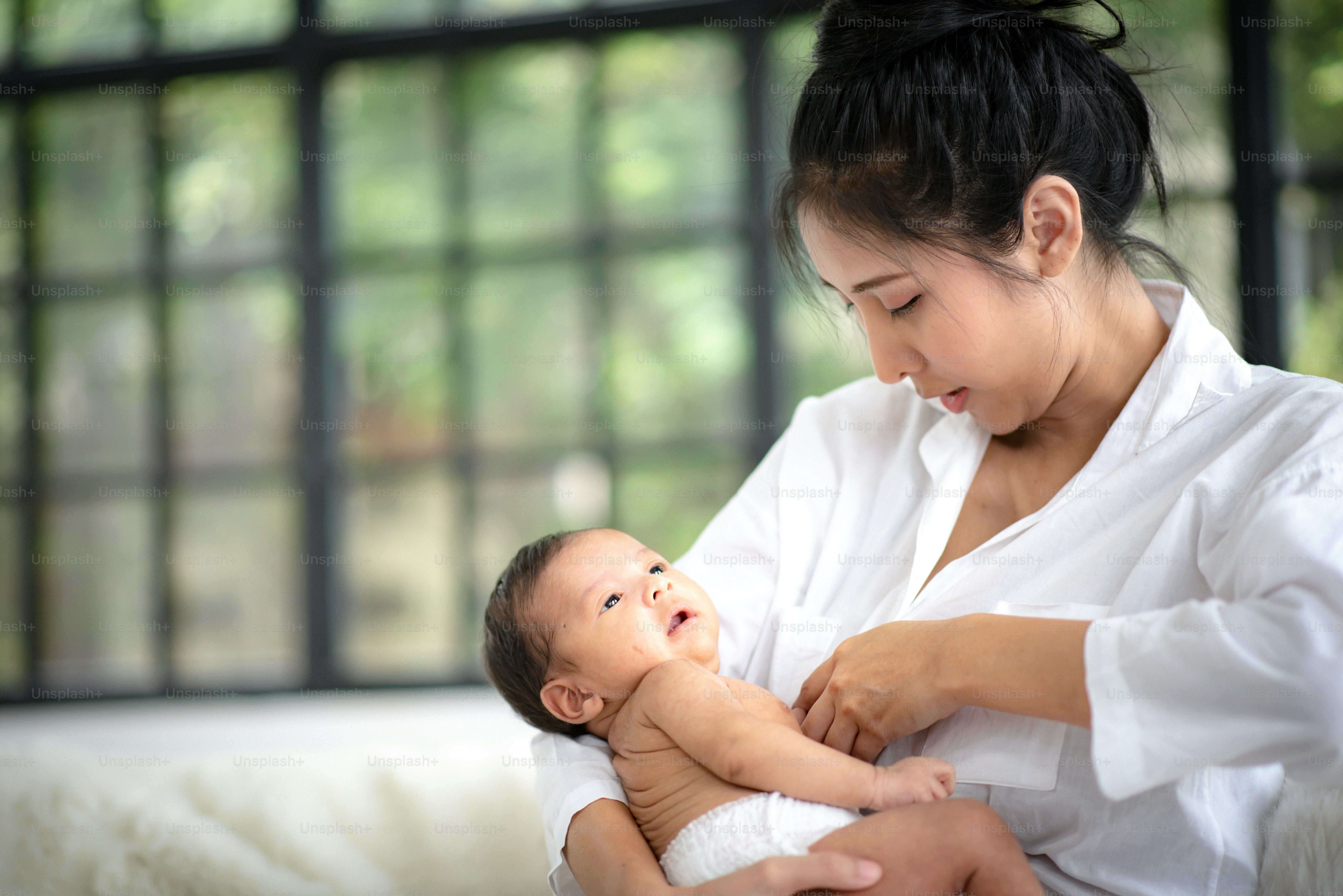 Lait De Brebi Photos | Télécharger des images gratuites sur Unsplash