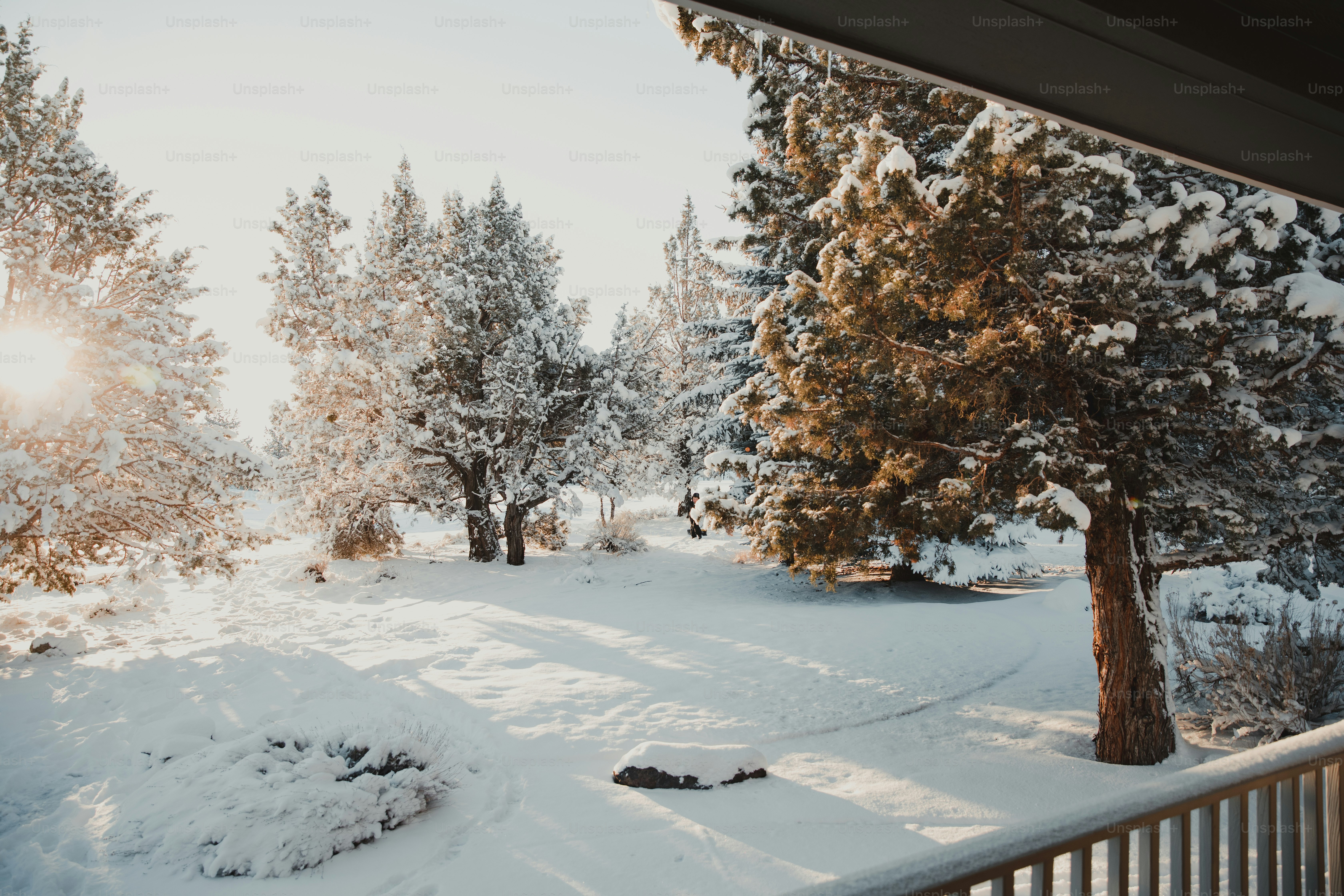 500+ Snowfall Pictures | Download Free Images on Unsplash