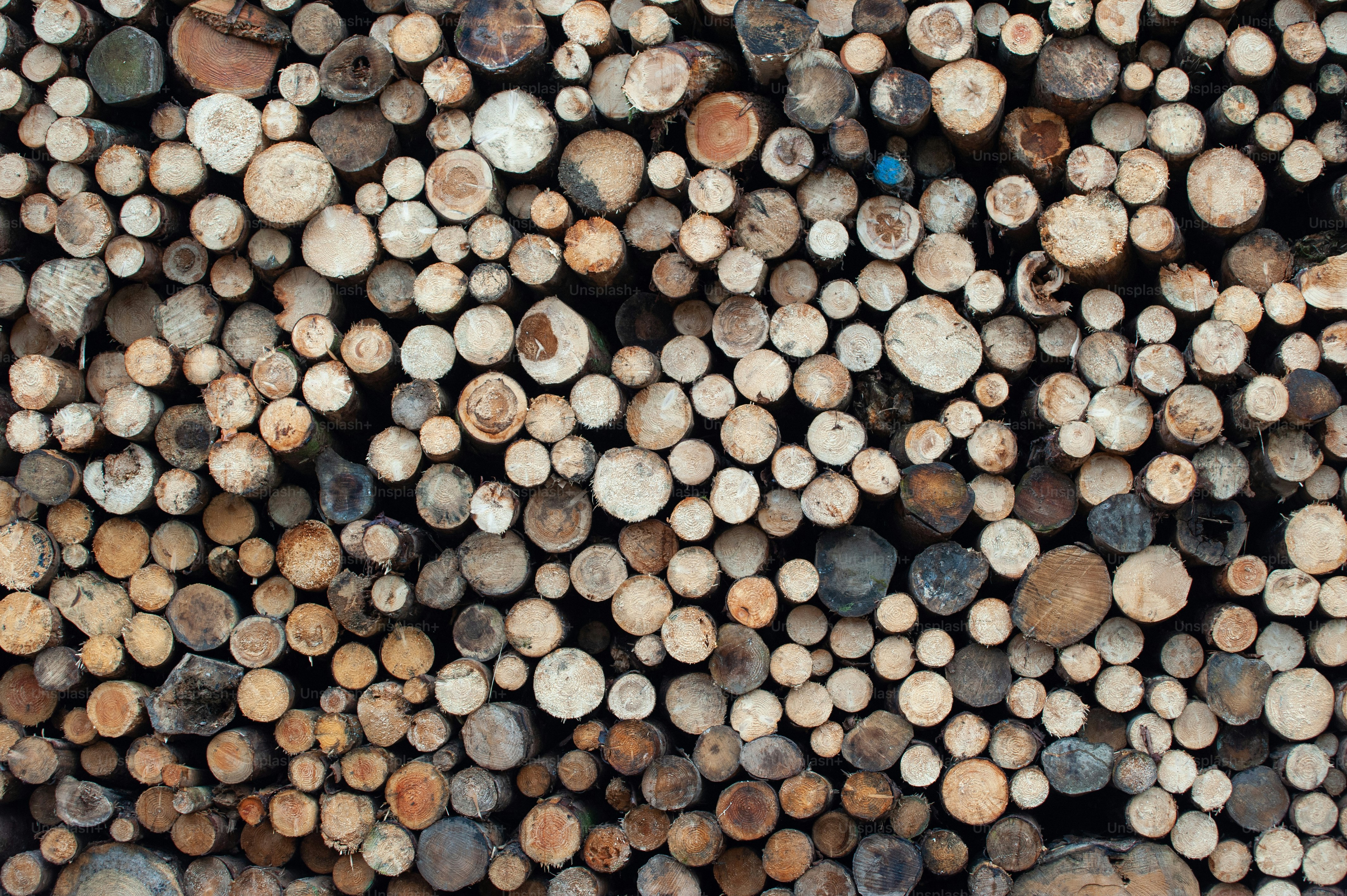 A pile of logs stacked on top of each other photo – Wood Image on Unsplash
