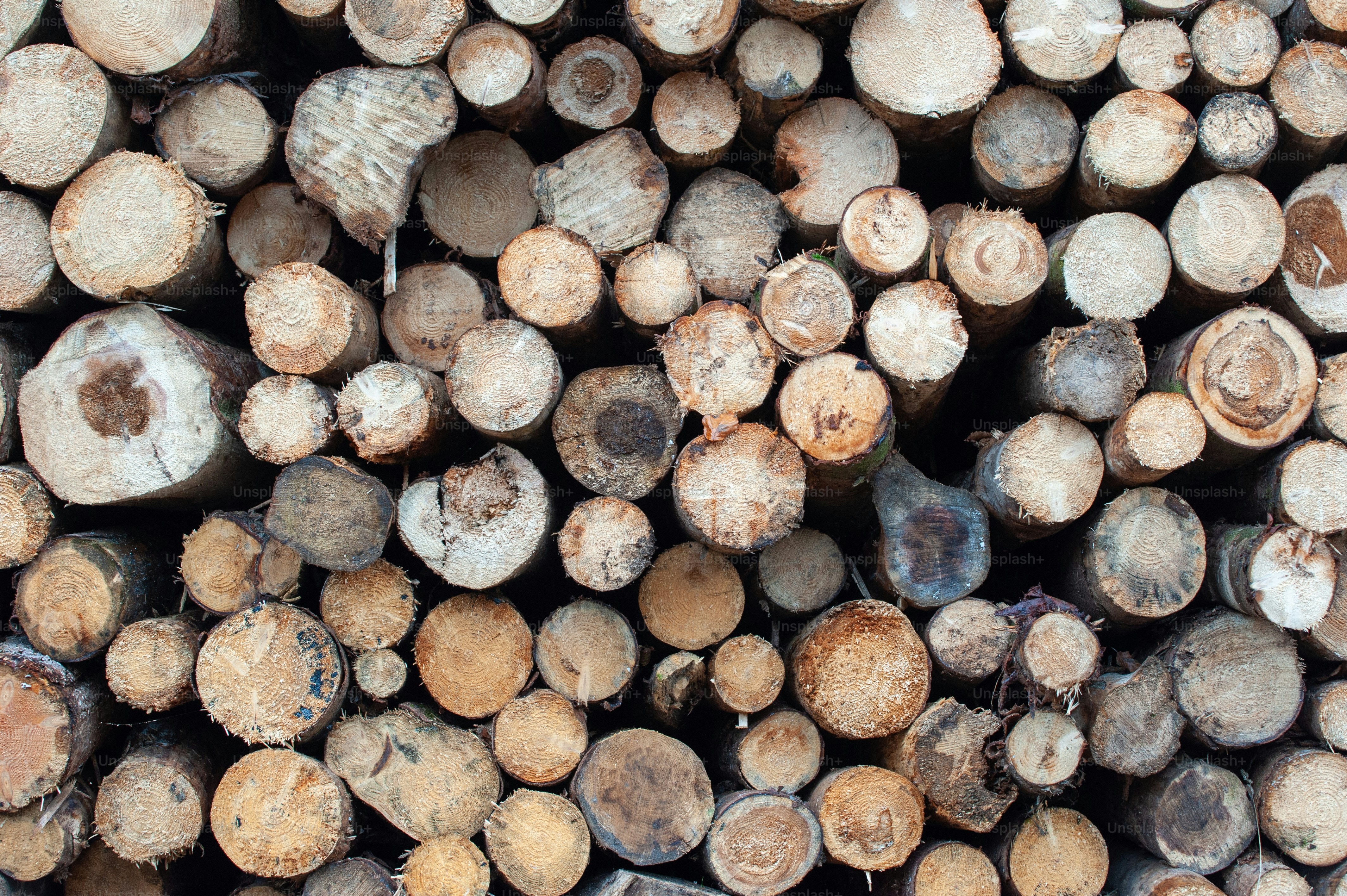A pile of logs stacked on top of each other photo – Wood Image on Unsplash