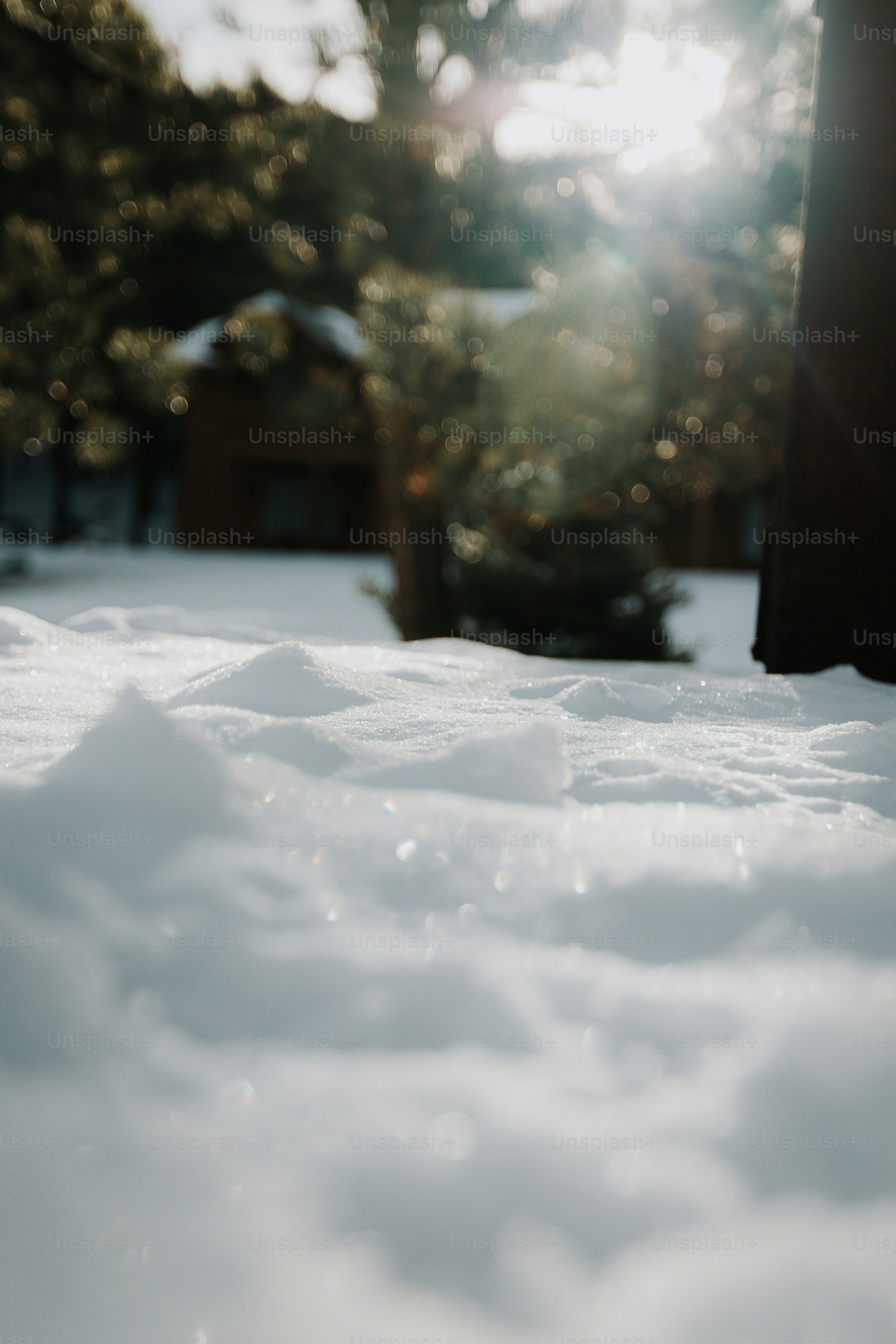 Snow Scene Pictures | Download Free Images on Unsplash