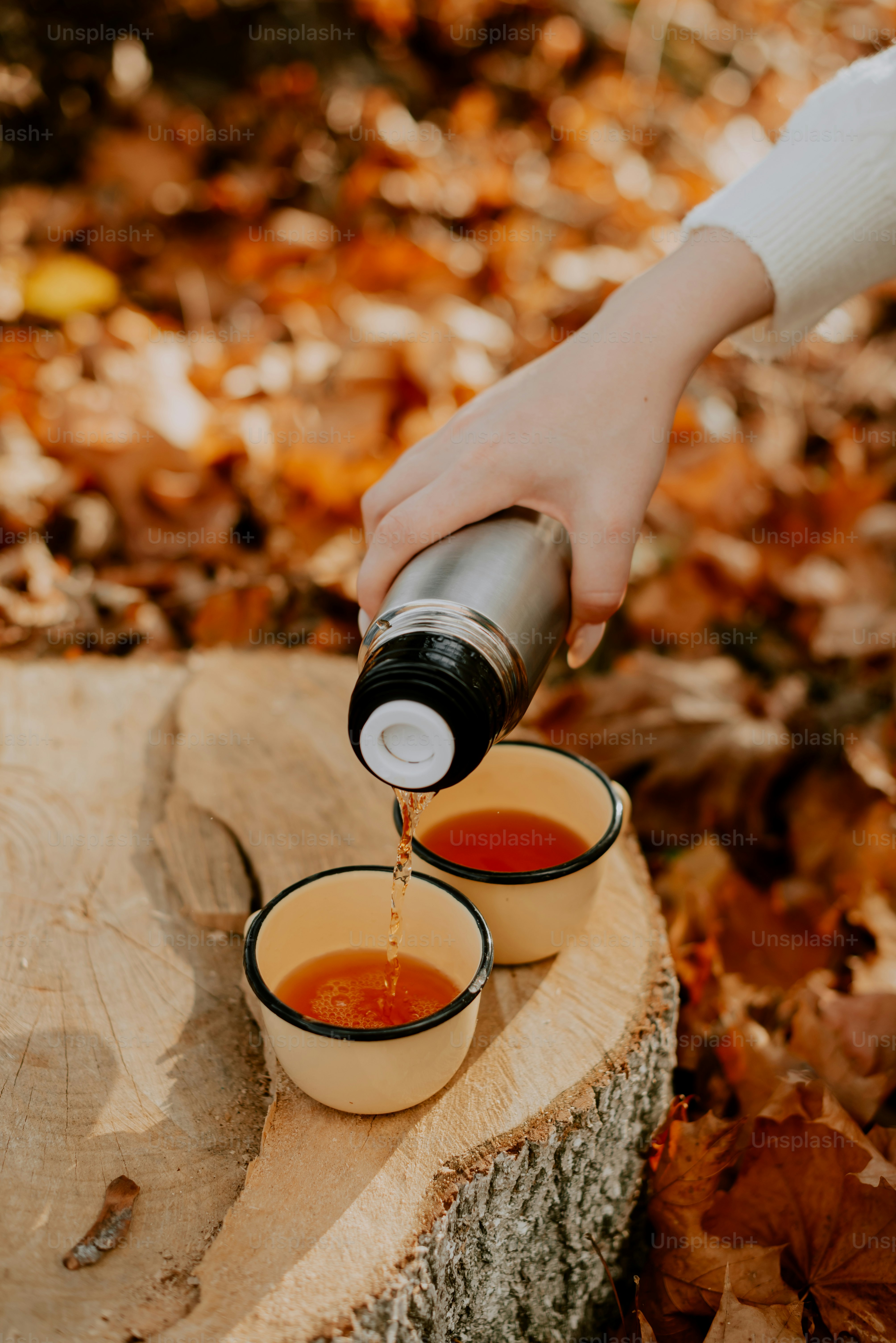A person pouring tea into two cups on a tree stump photo – Warm Image ...