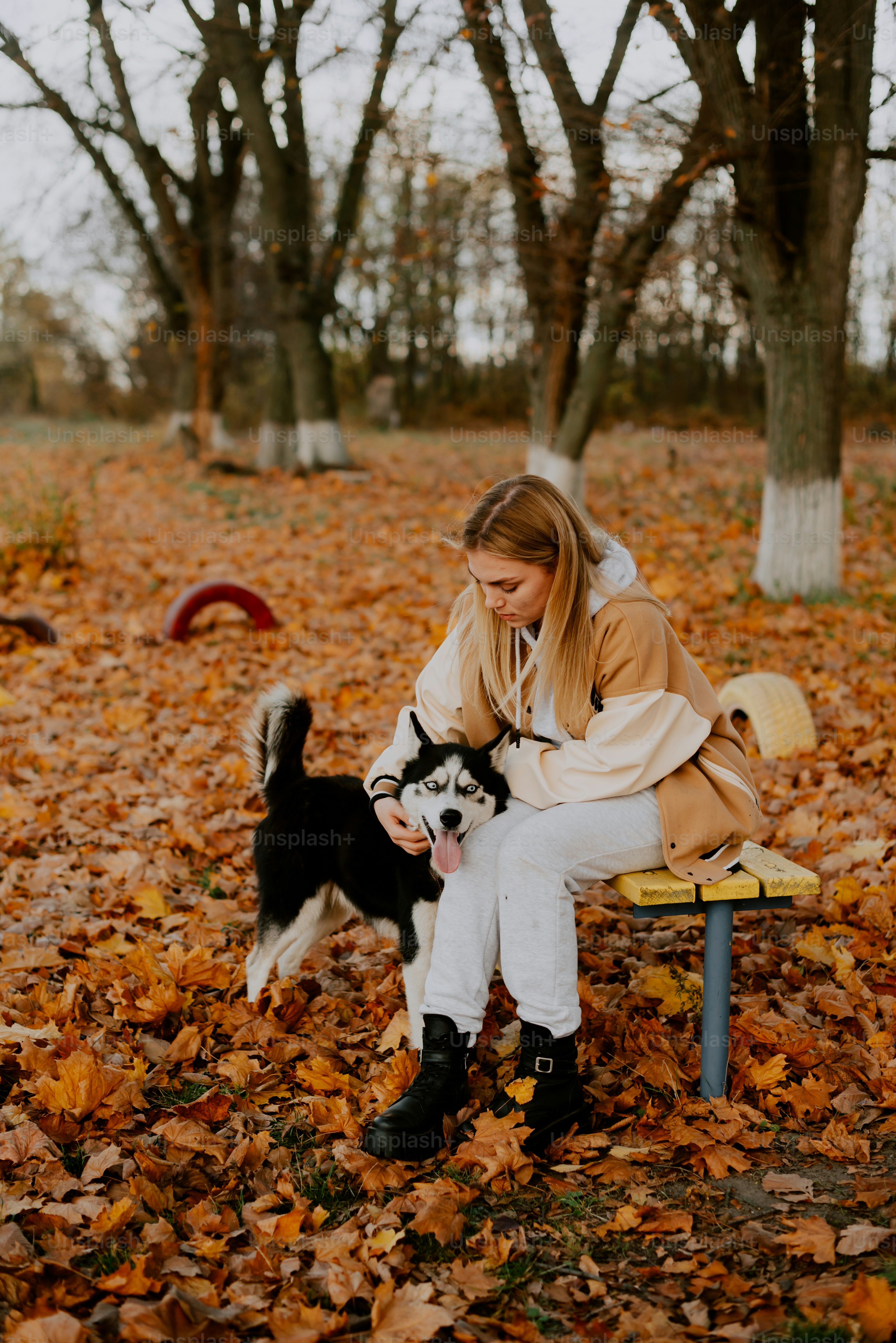 Fall Leaf Pictures | Download Free Images on Unsplash