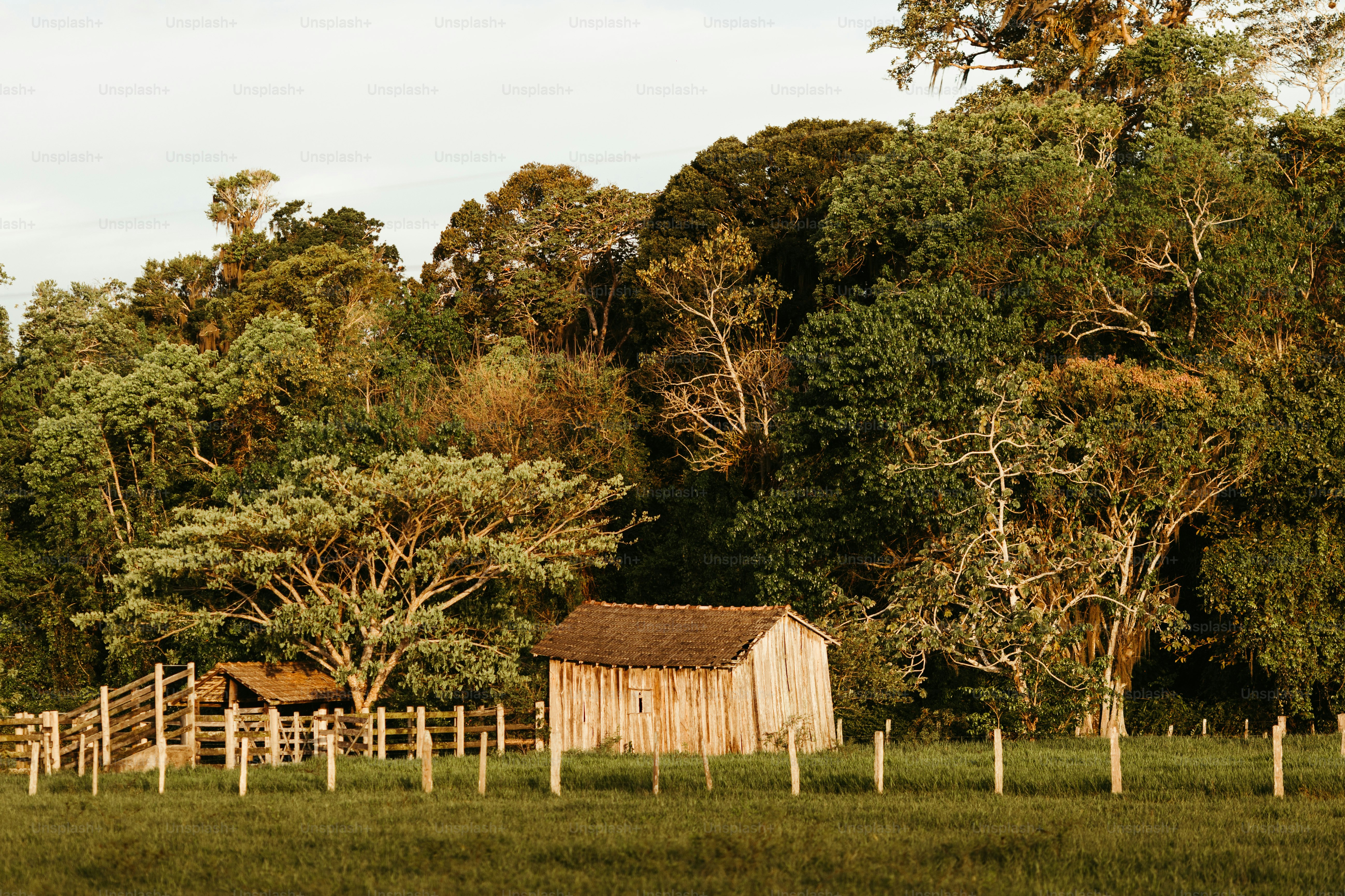 30,000+ Fotos de Áreas Rurales | Descargar imágenes gratis en Unsplash