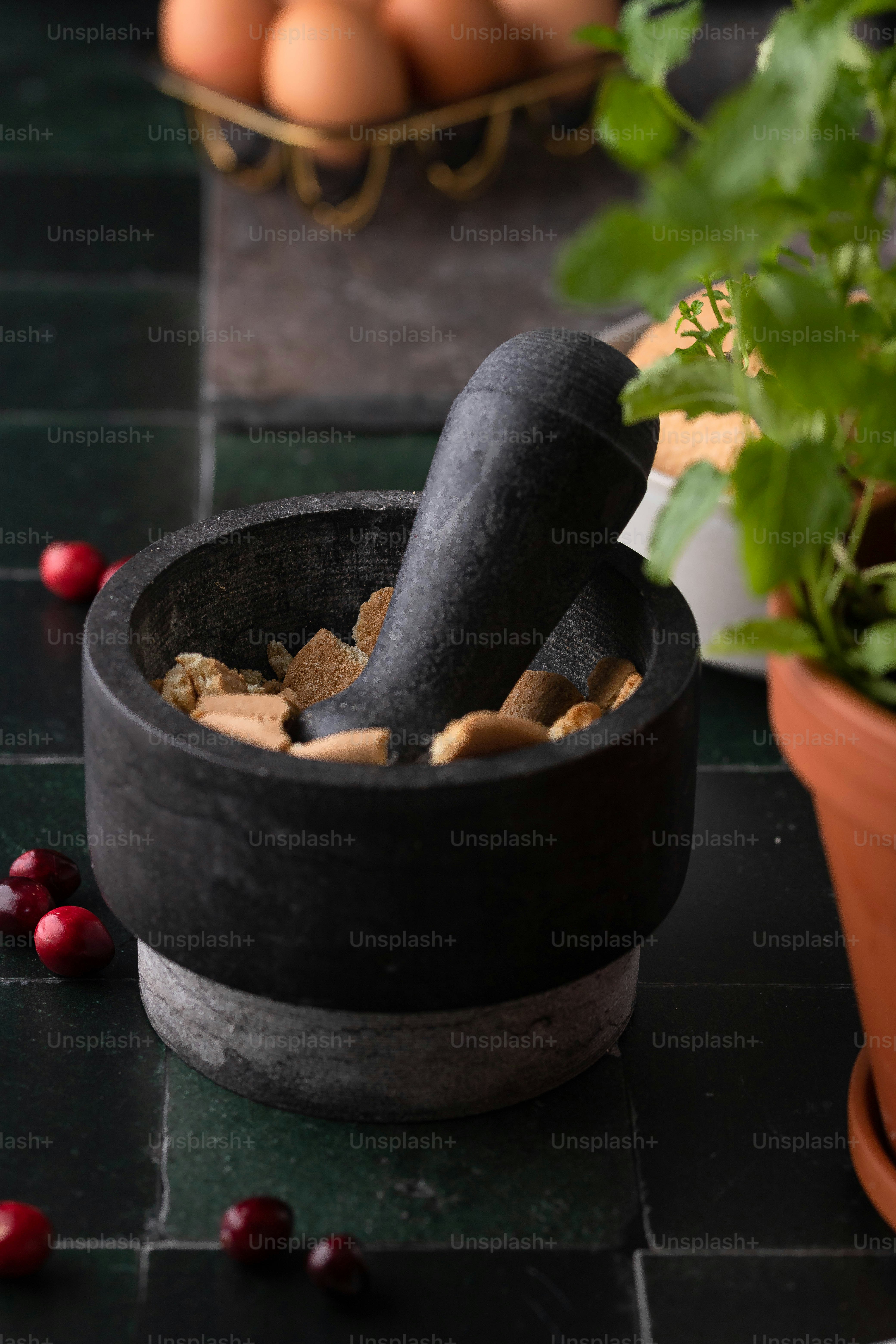 Foto Un mortero y mortero en un recipiente junto a una planta en maceta ...