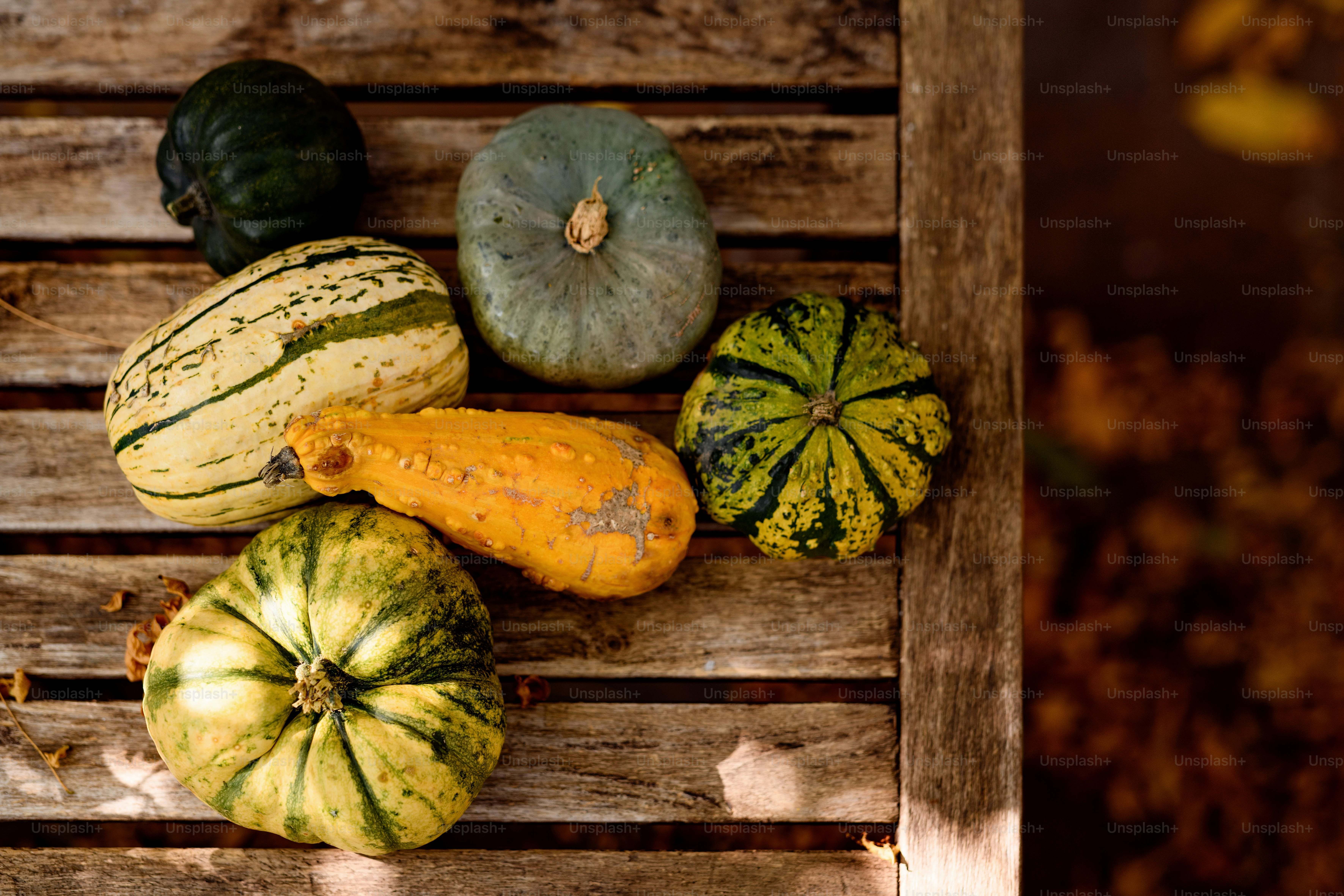 1000+ Fall Pictures | Download Free Images on Unsplash