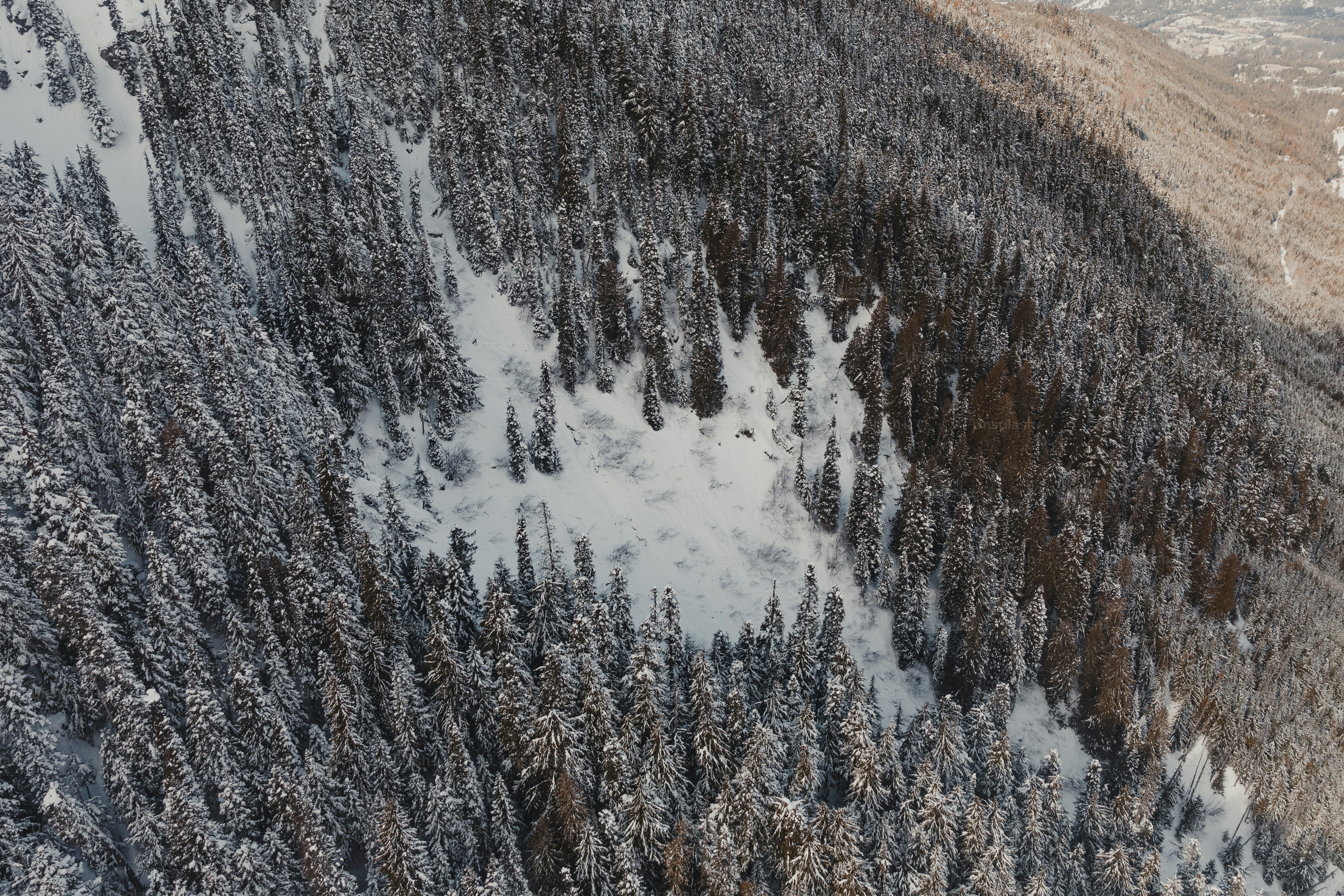 Snow Land Pictures | Download Free Images on Unsplash