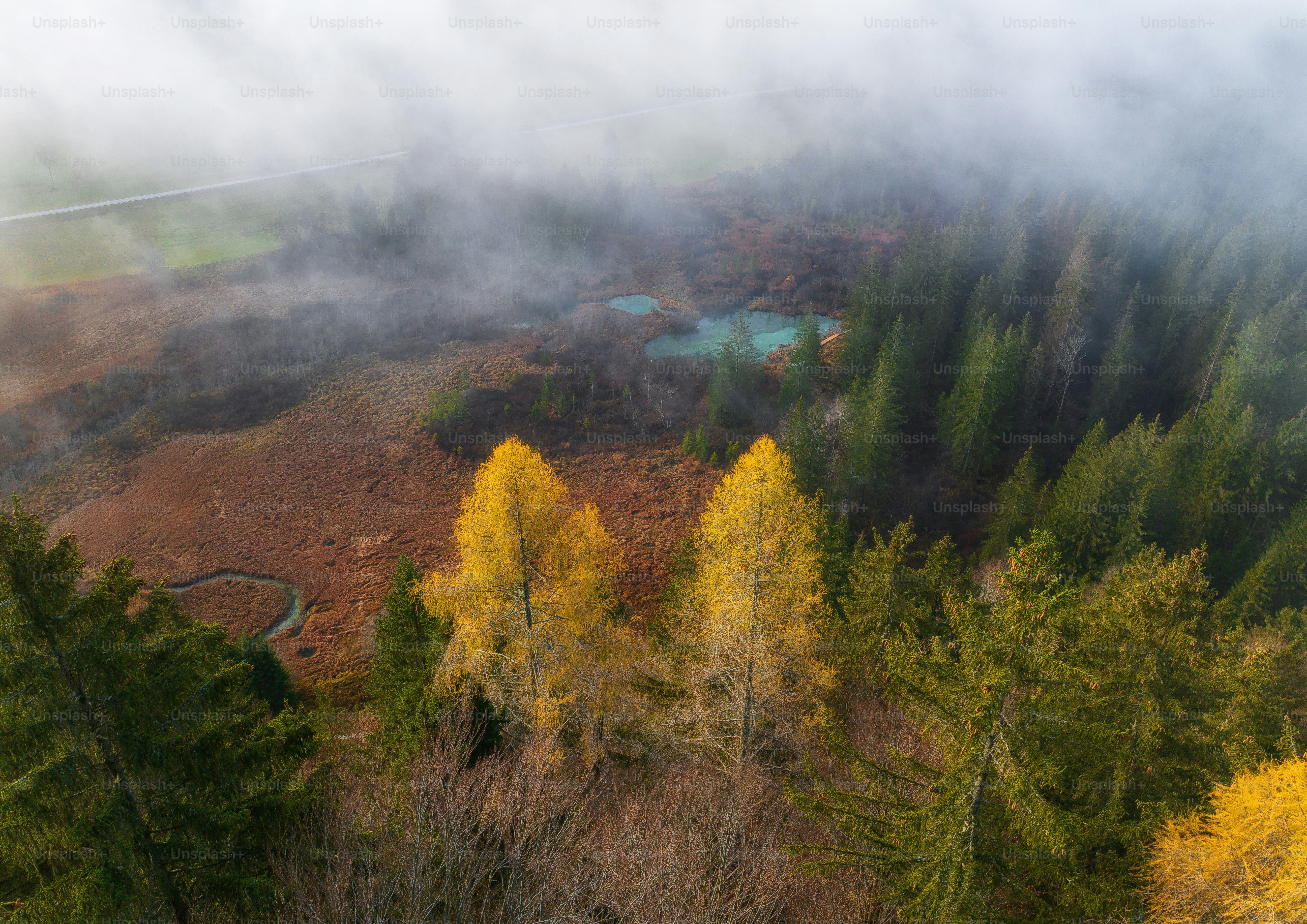 Source Pictures | Download Free Images on Unsplash