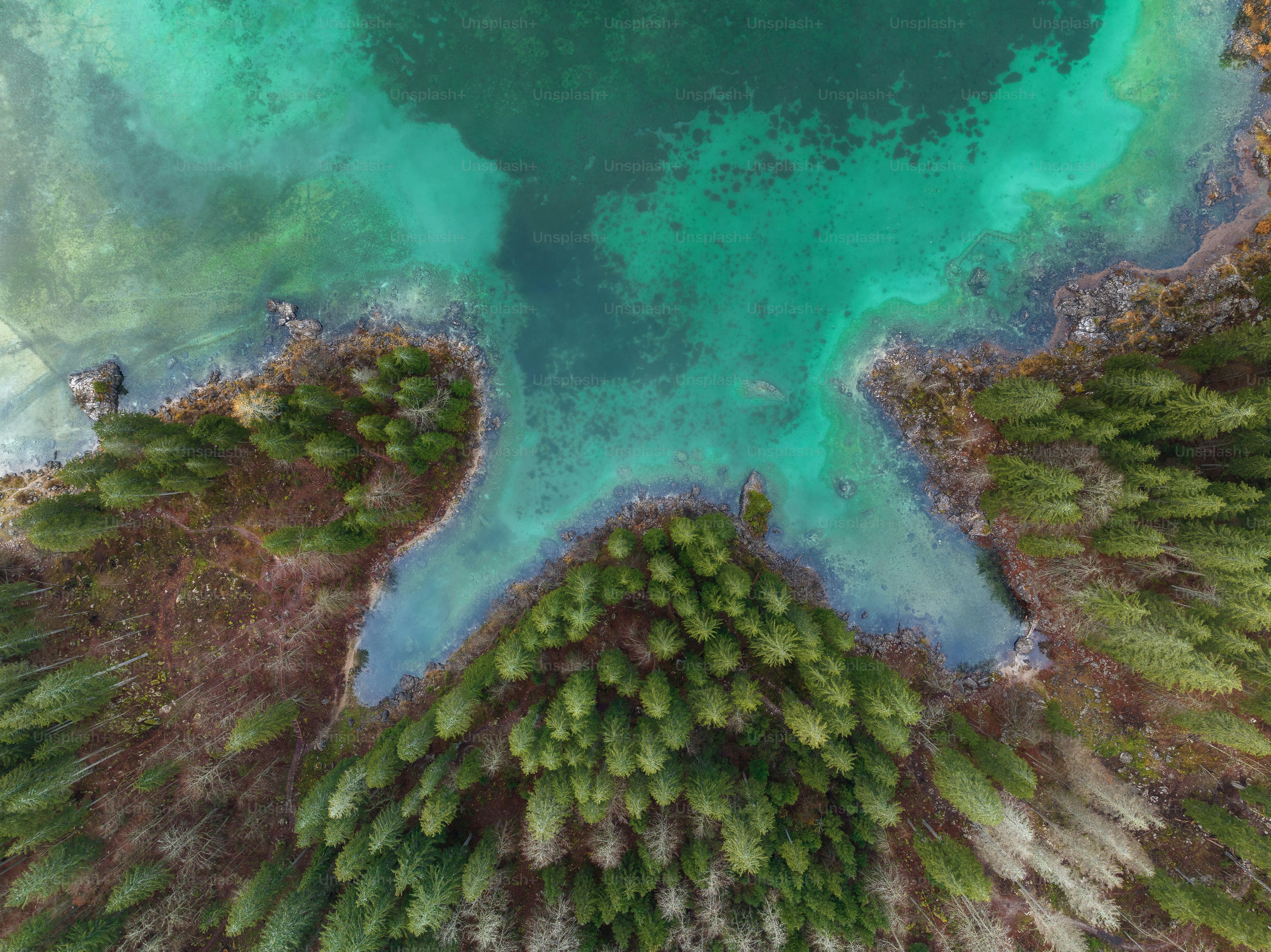 An aerial view of a body of water surrounded by trees photo – Wallpaper ...