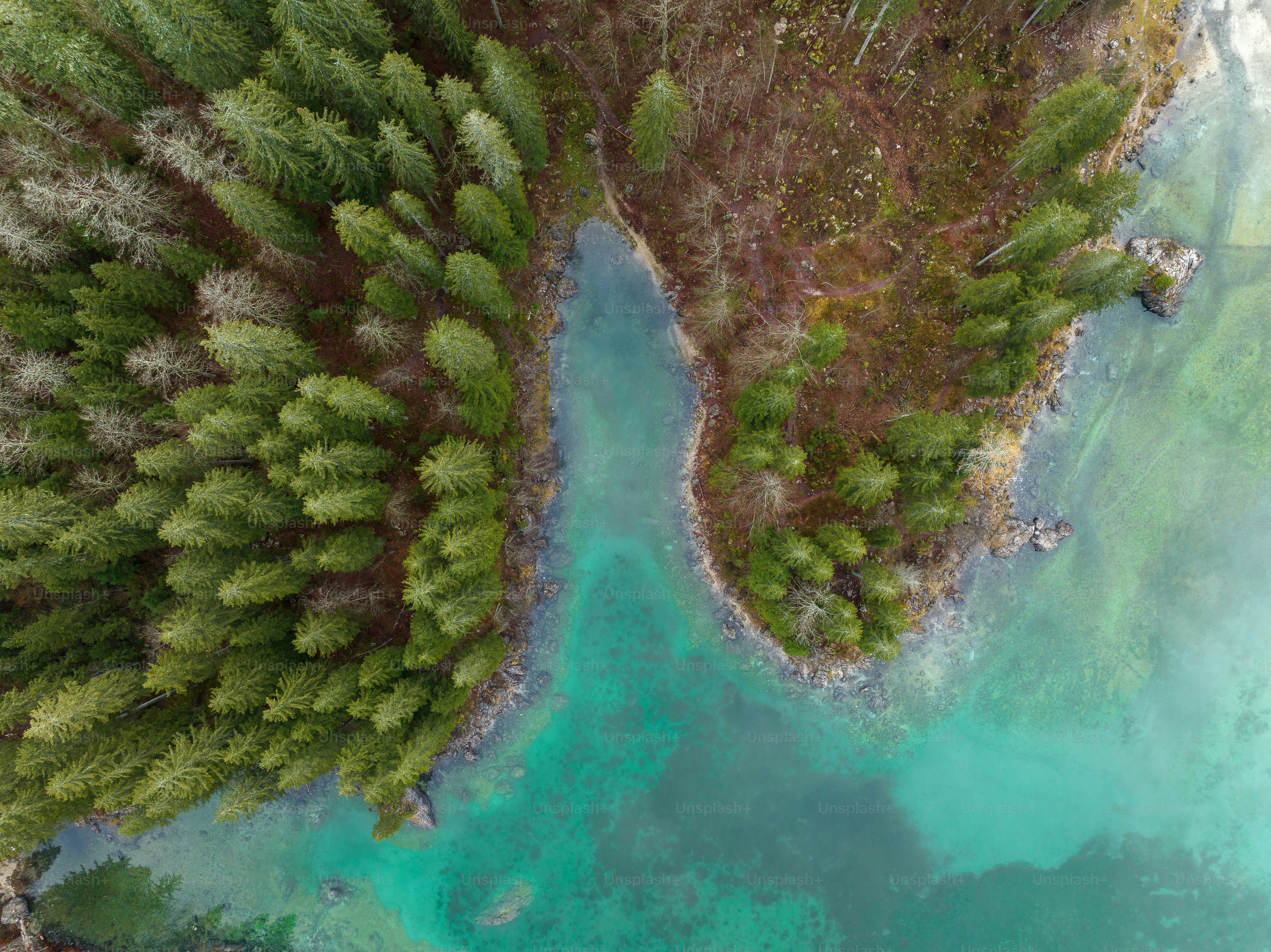 An aerial view of a body of water surrounded by trees photo – Drone ...