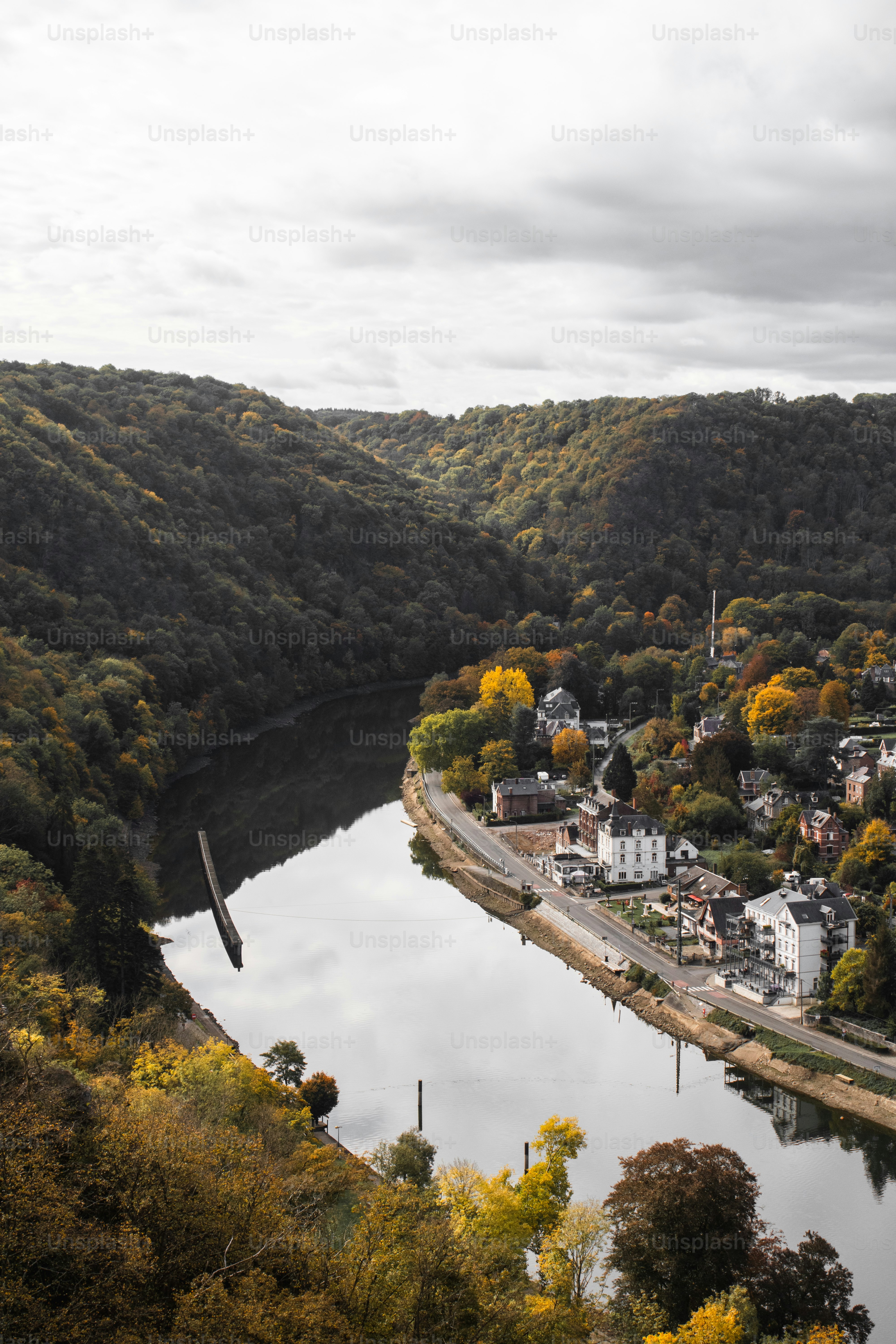 Une rivière qui coule à travers une forêt verdoyante photo – Fleuve ...