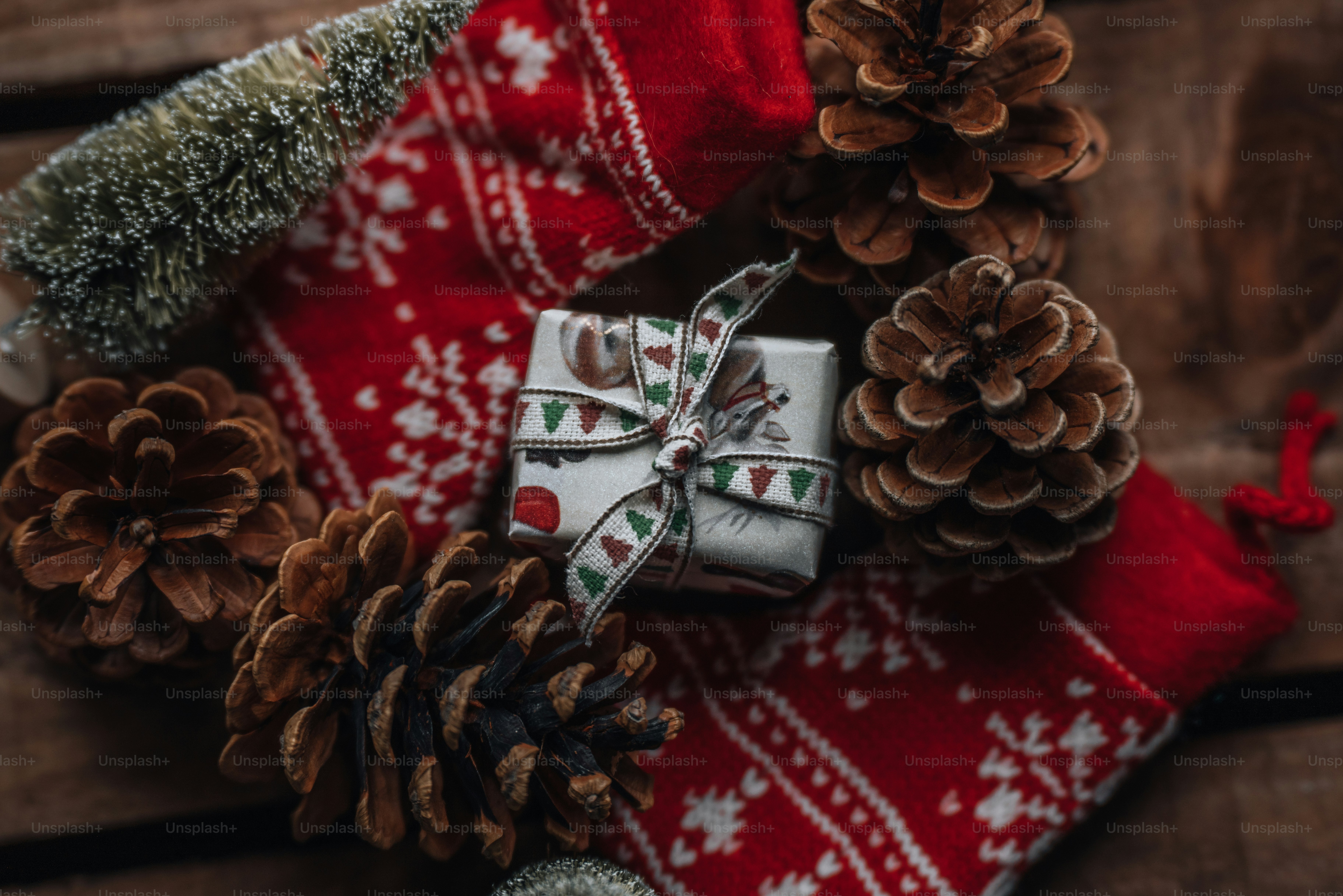 A christmas present wrapped in a red and white ribbon next to pine ...