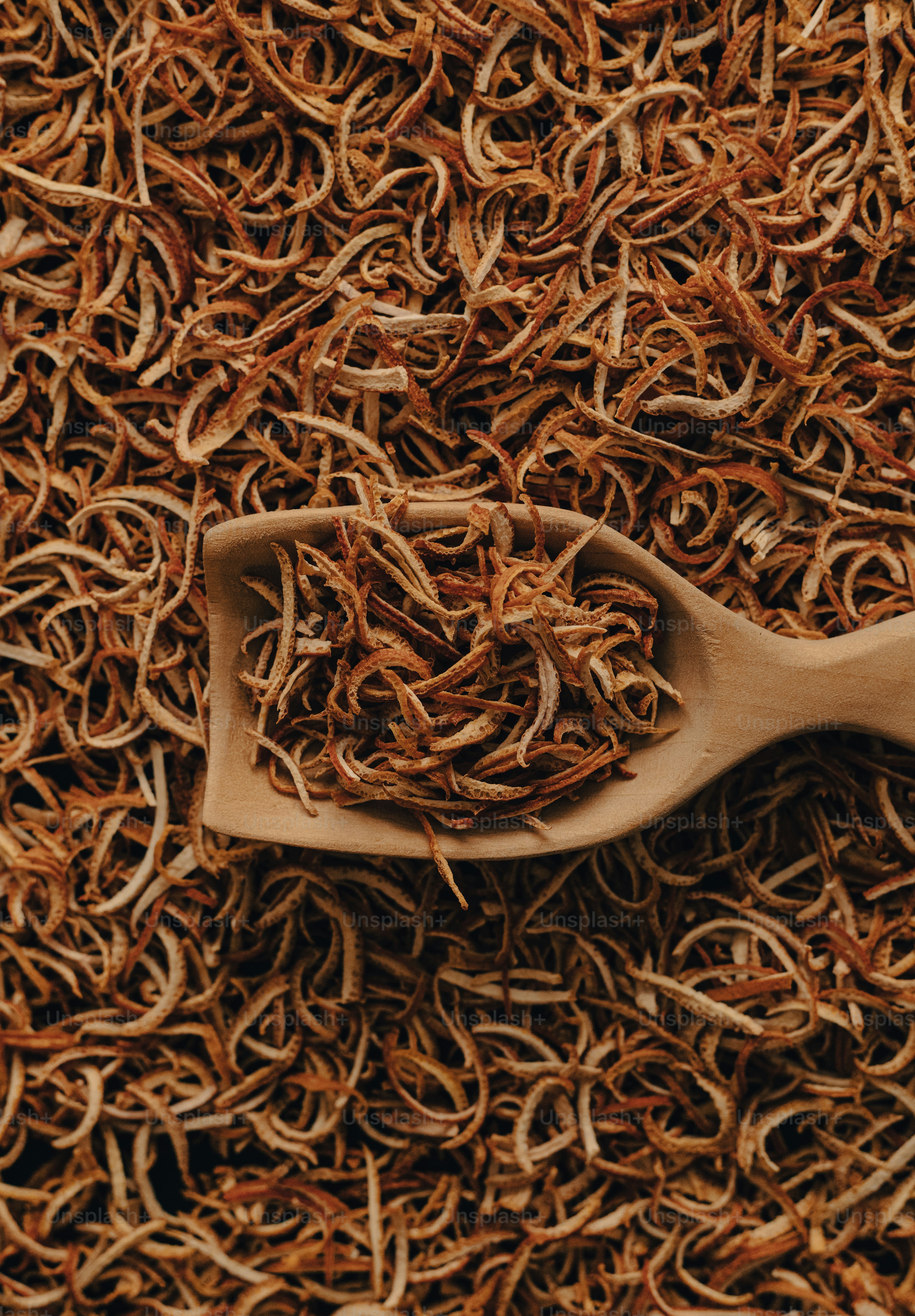 A wooden spoon filled with lots of brown stuff photo – Worms Image on ...