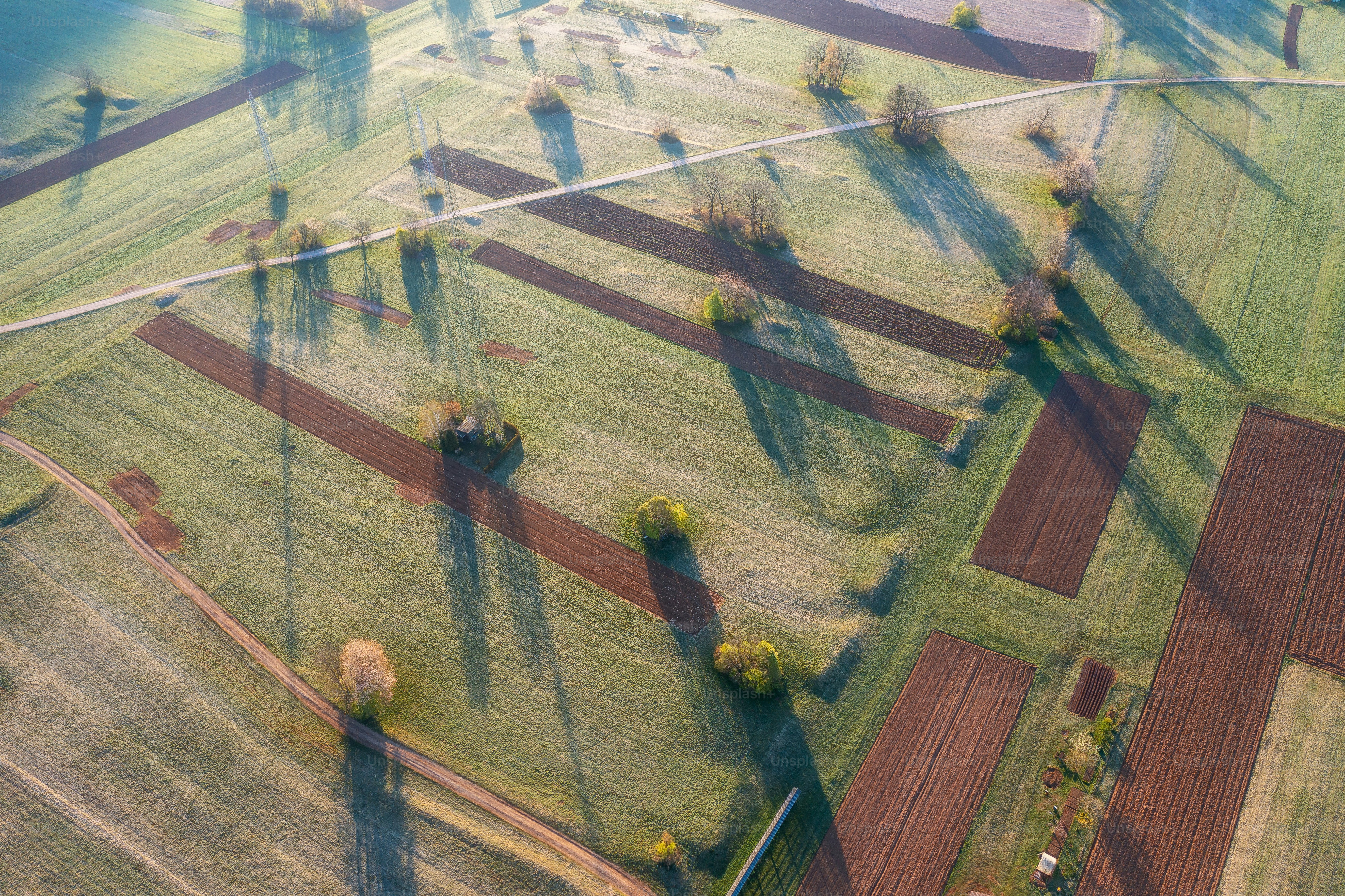 An aerial view of a field with trees photo – Outdoors Image on Unsplash