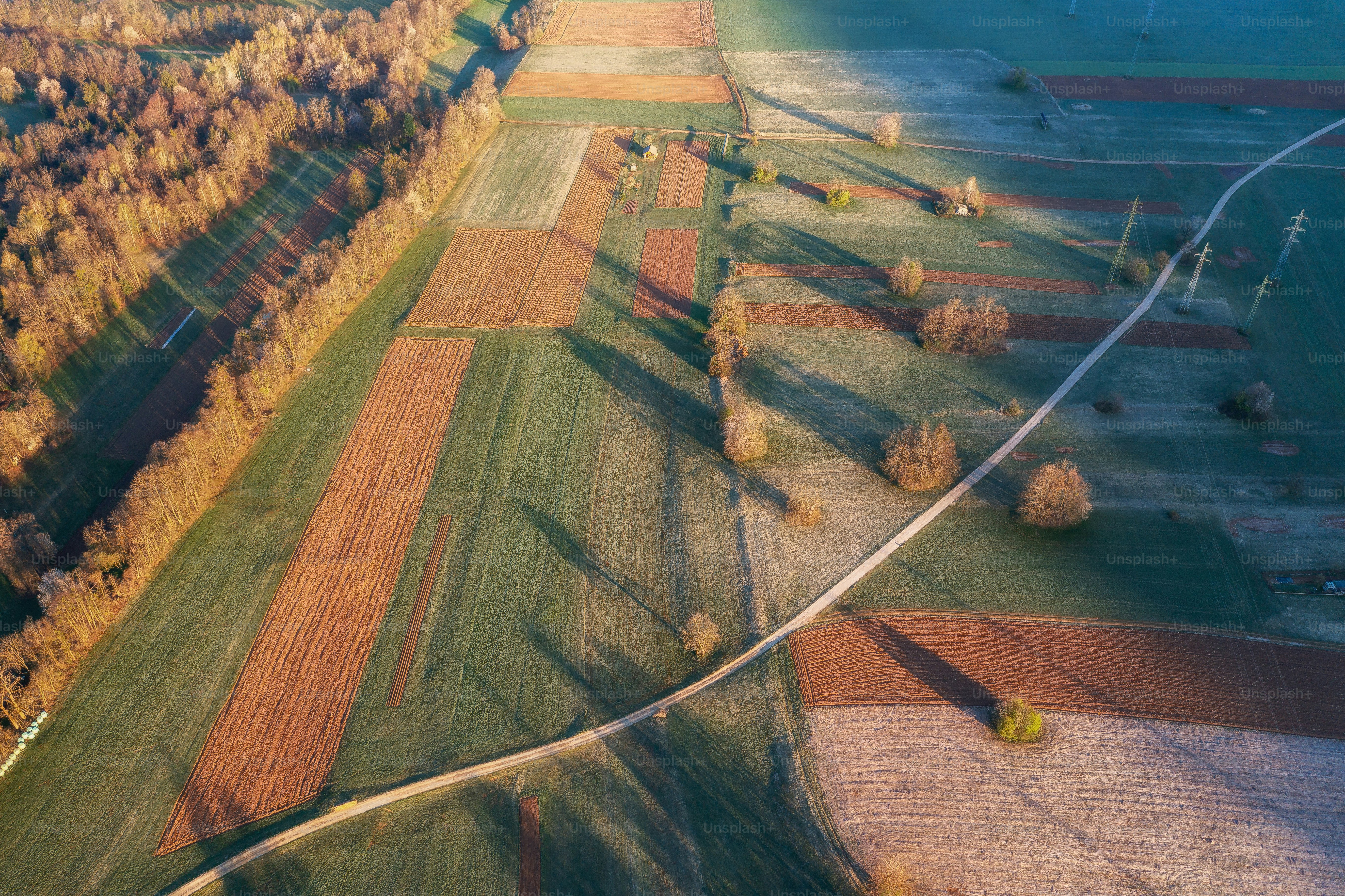 An aerial view of a rural area with trees photo – Land plot Image on ...