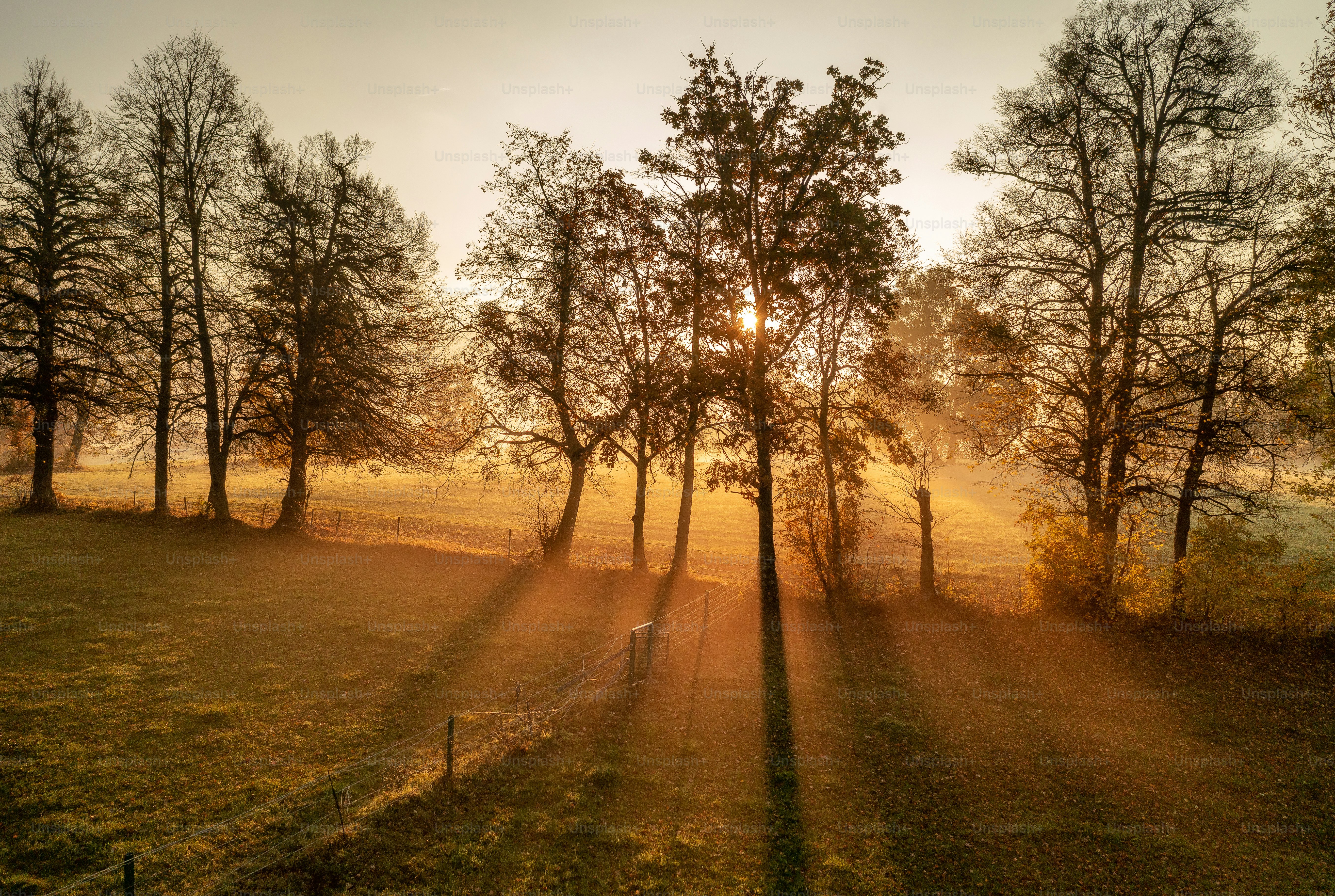 500+ Lightroom Backgrounds | Download Free Images On Unsplash