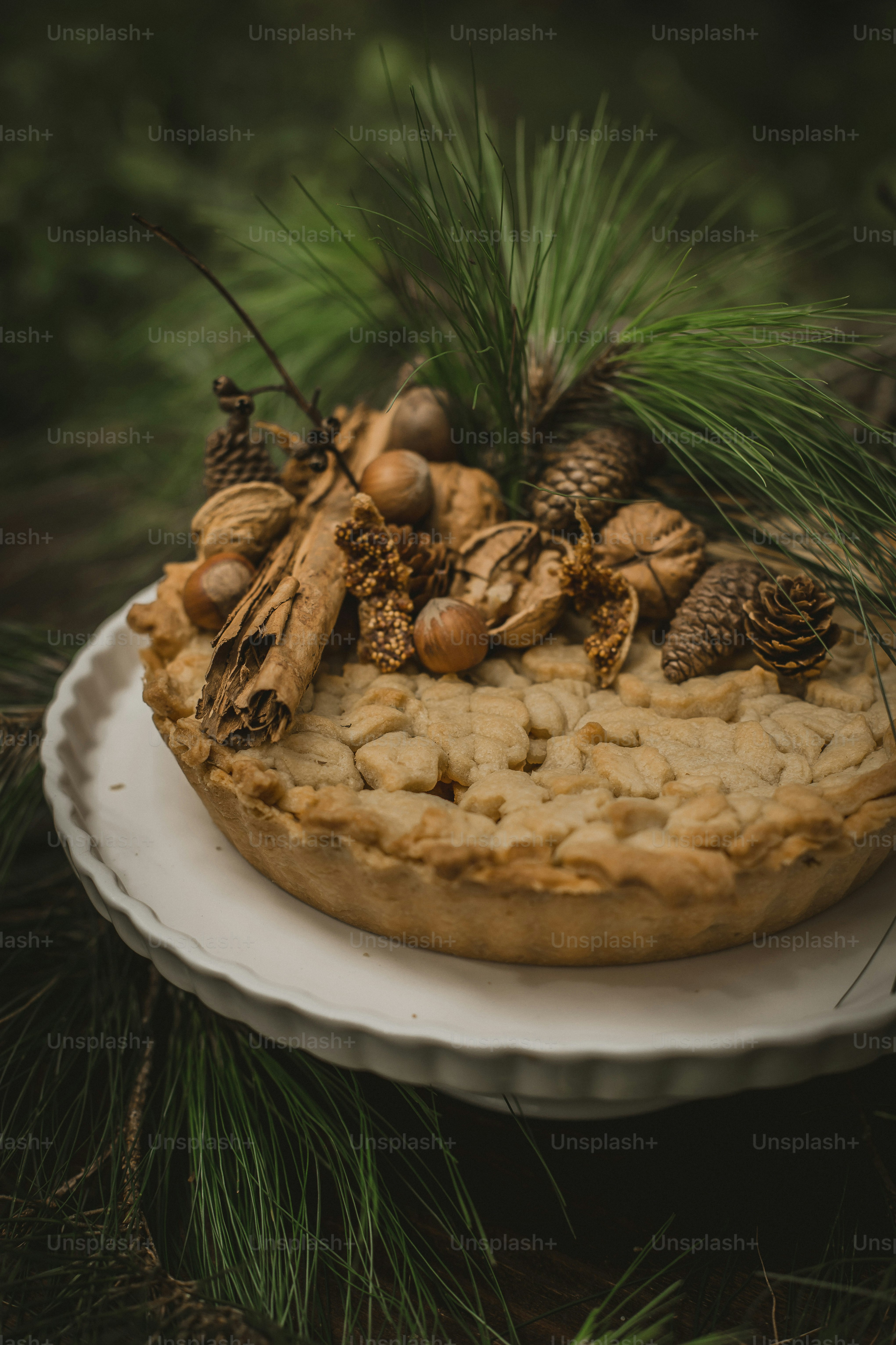 Un gâteau avec des noix et des pommes de pin dans une assiette photo ...