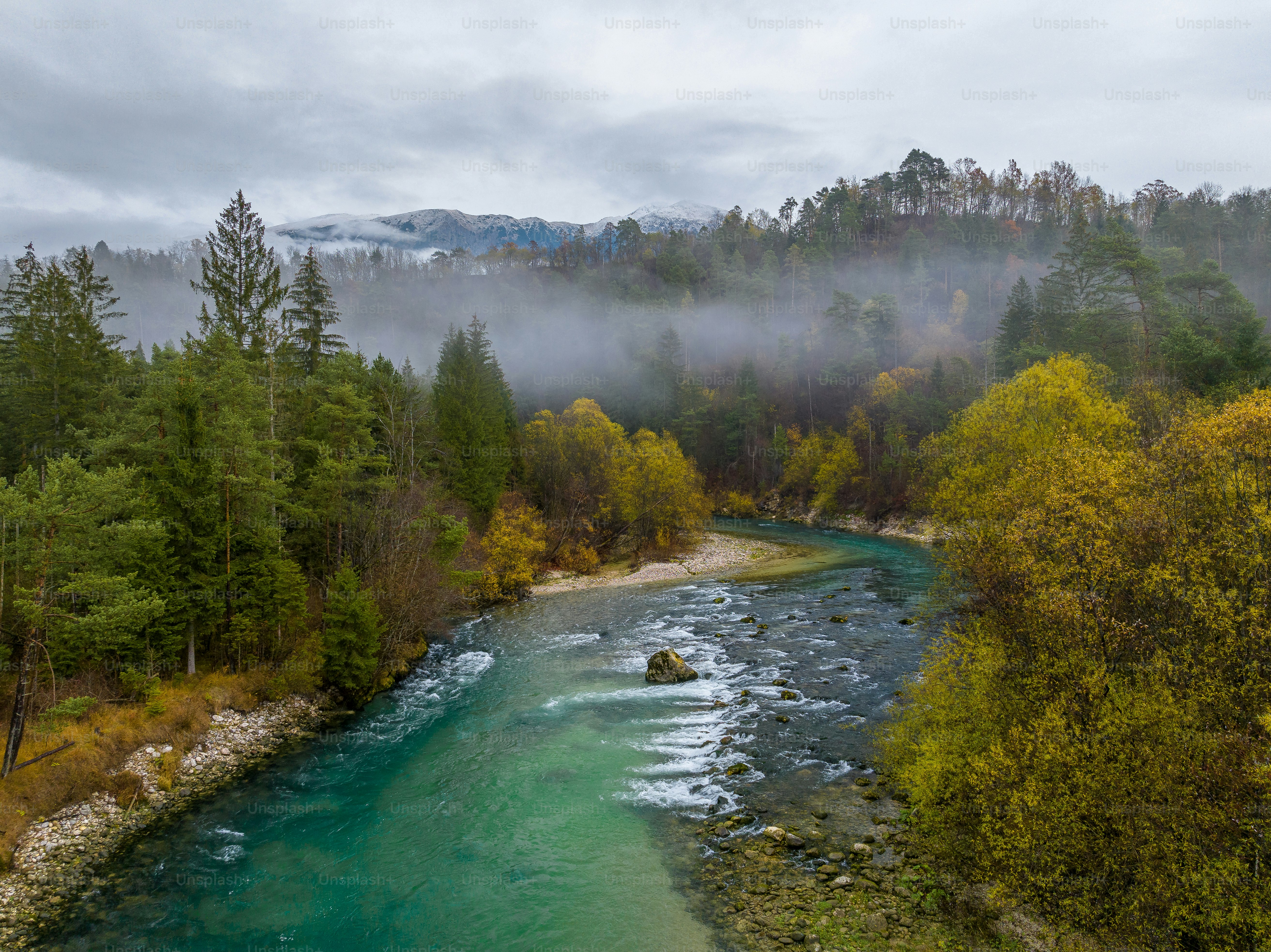 A river running through a lush green forest photo – Flowing river Image ...