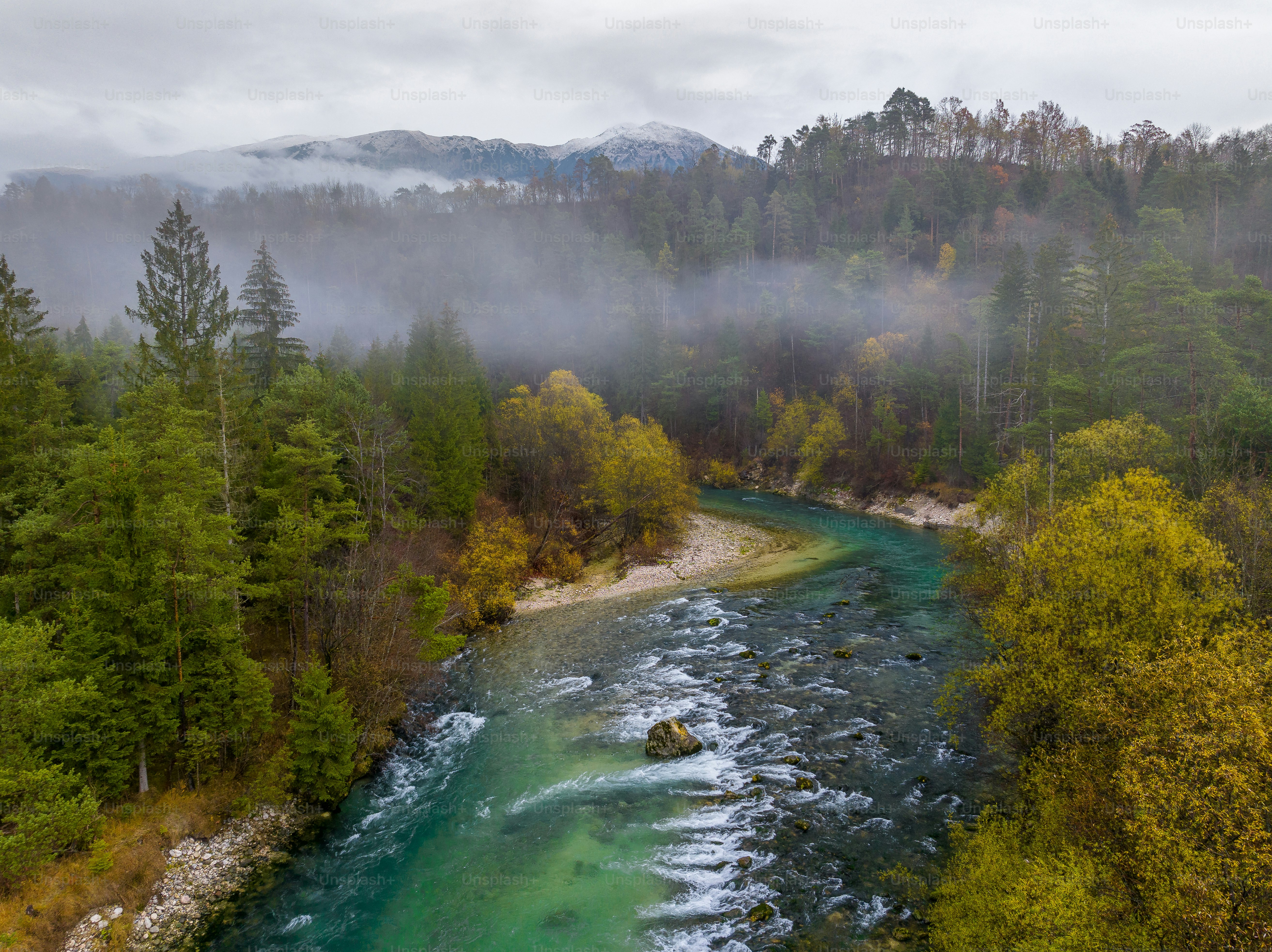 Une rivière qui coule à travers une forêt verdoyante photo – Ruisseau ...