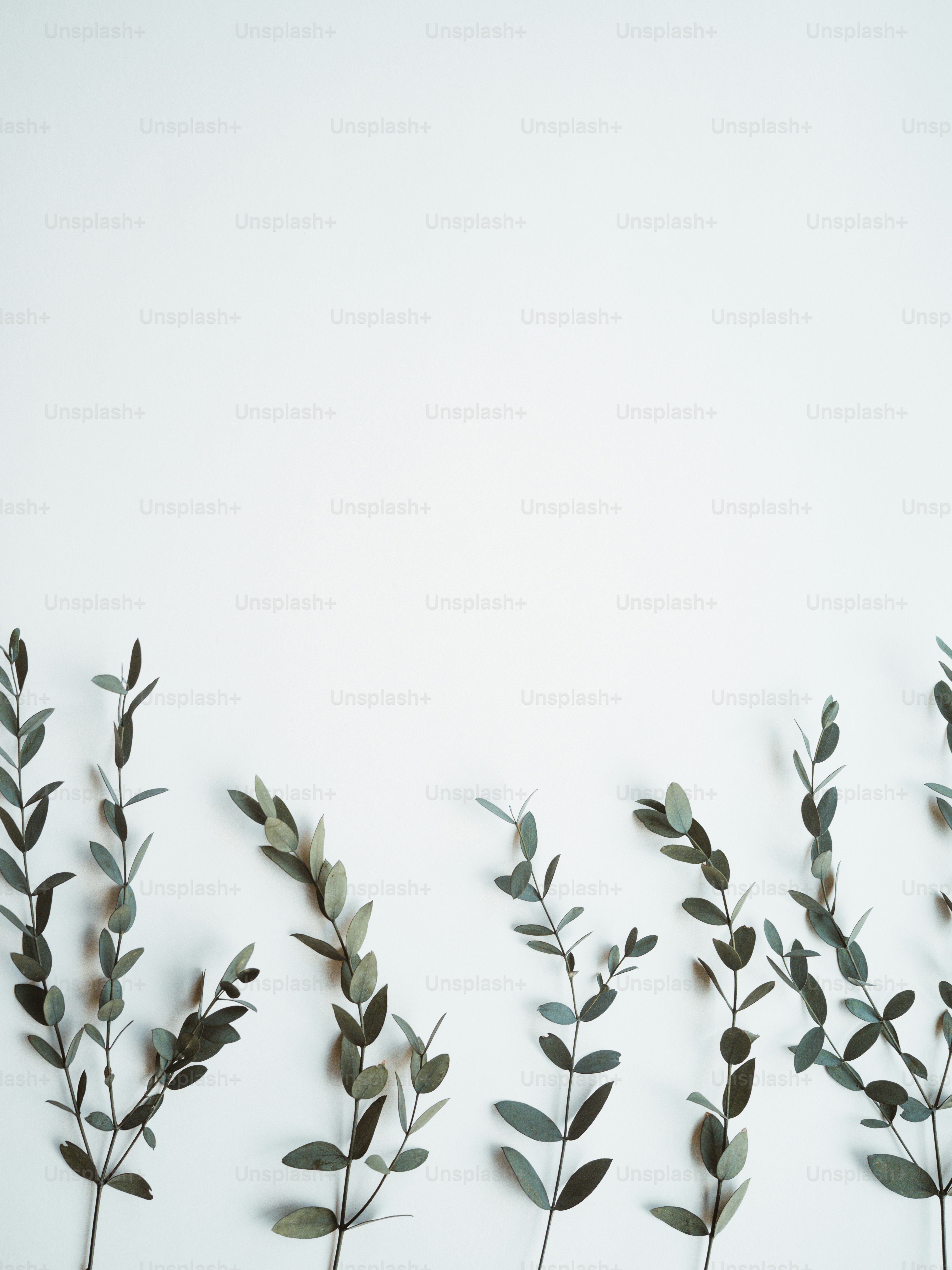 Basic Background Pictures | Download Free Images on Unsplash