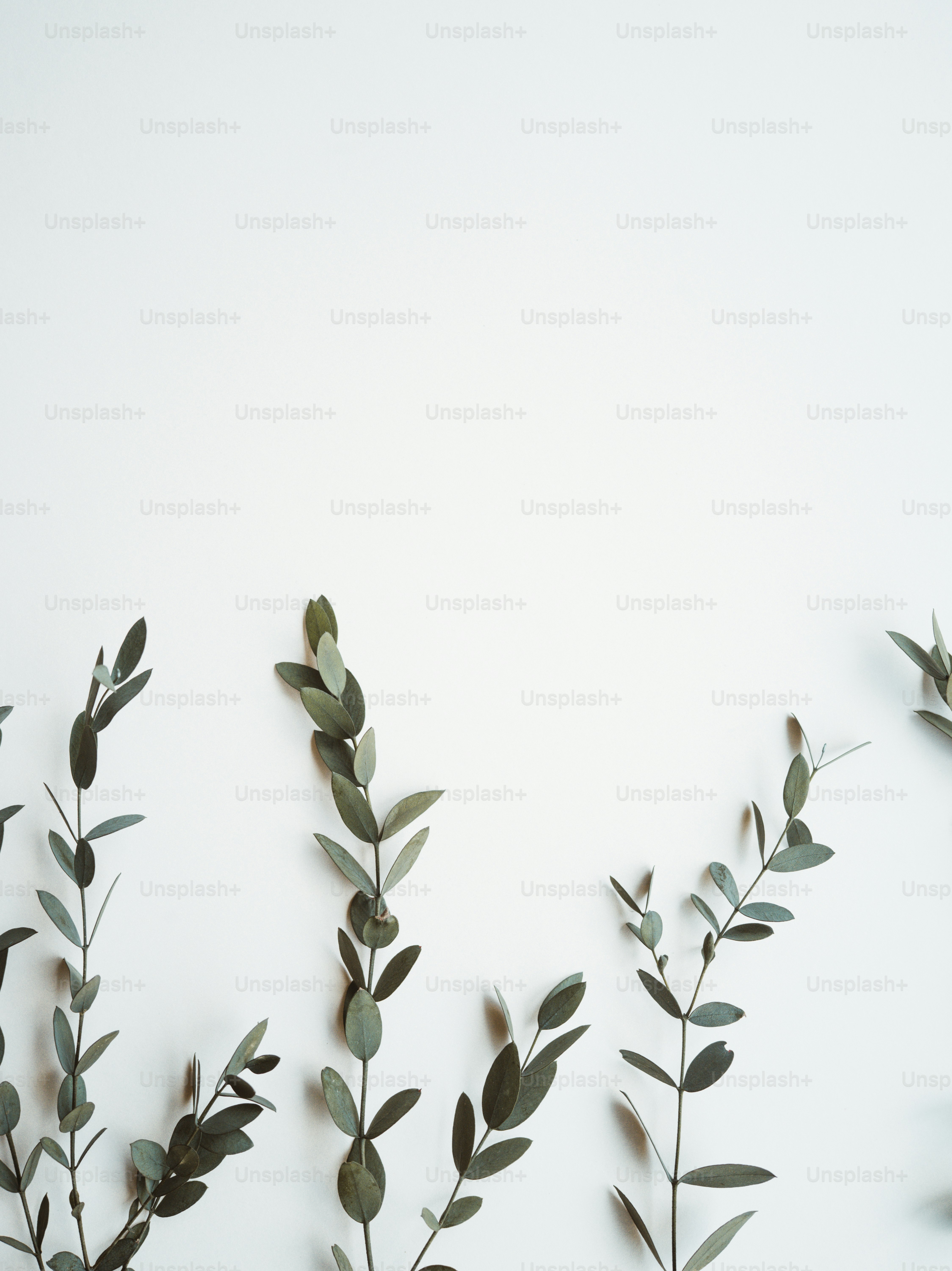 20+ Simple Pictures | Download Free Images on Unsplash