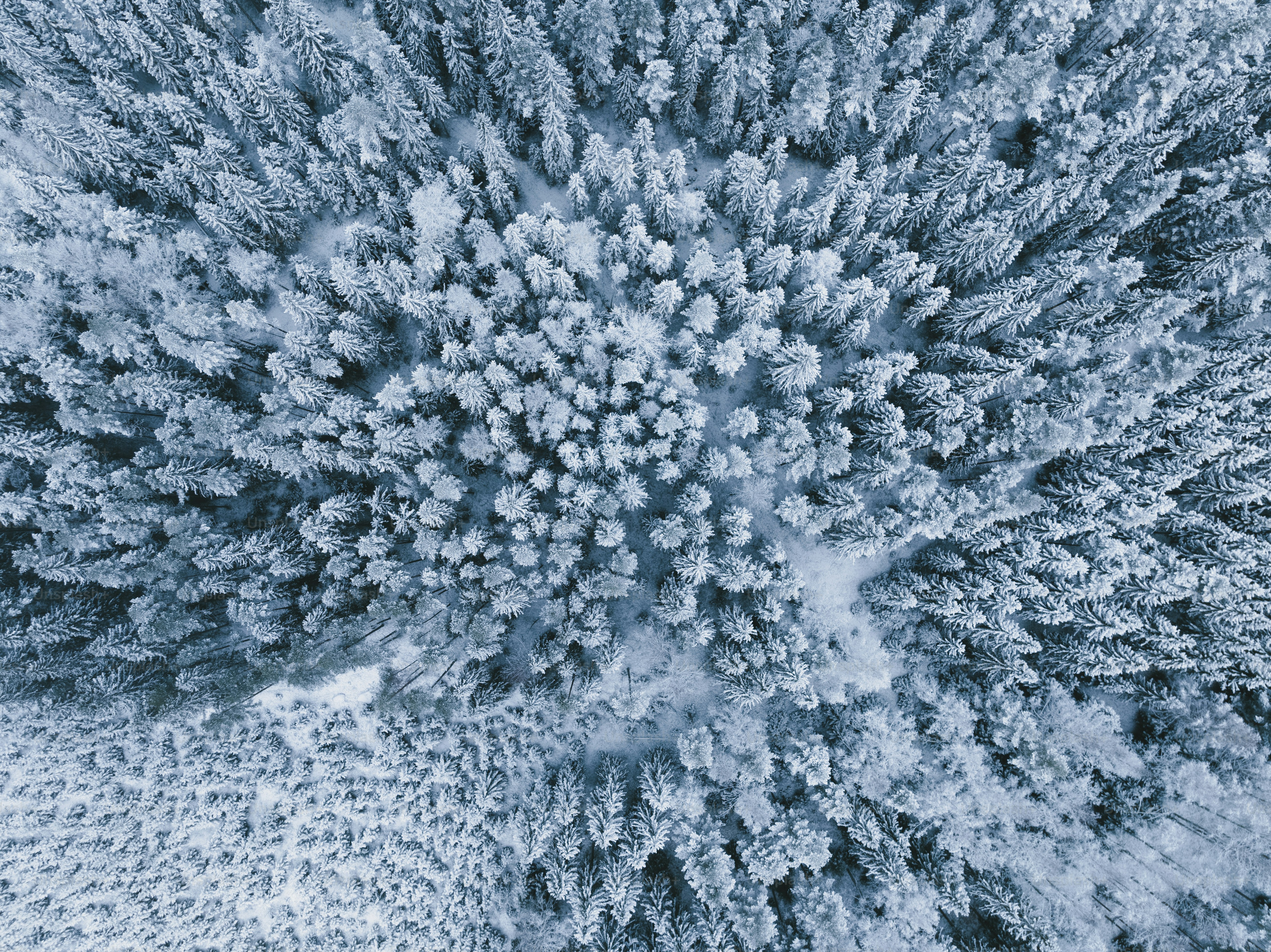An aerial view of a snow covered forest photo – Finland Image on Unsplash