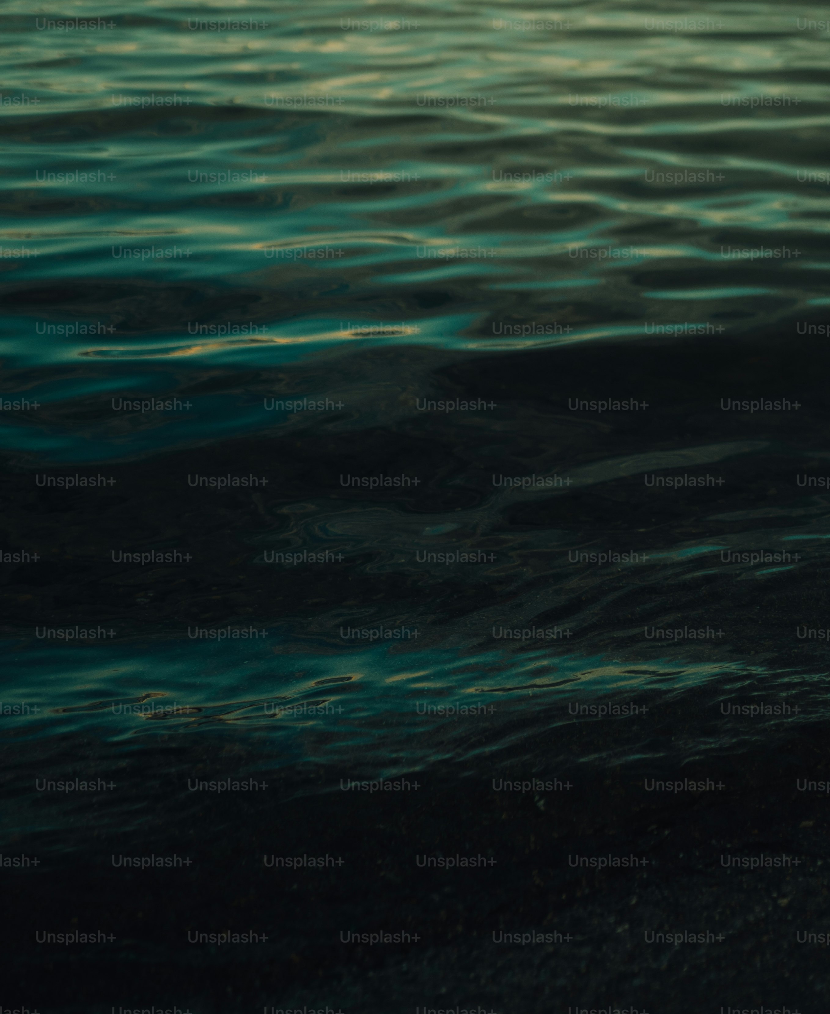 1500+ Unspalsh Pictures | Download Free Images on Unsplash