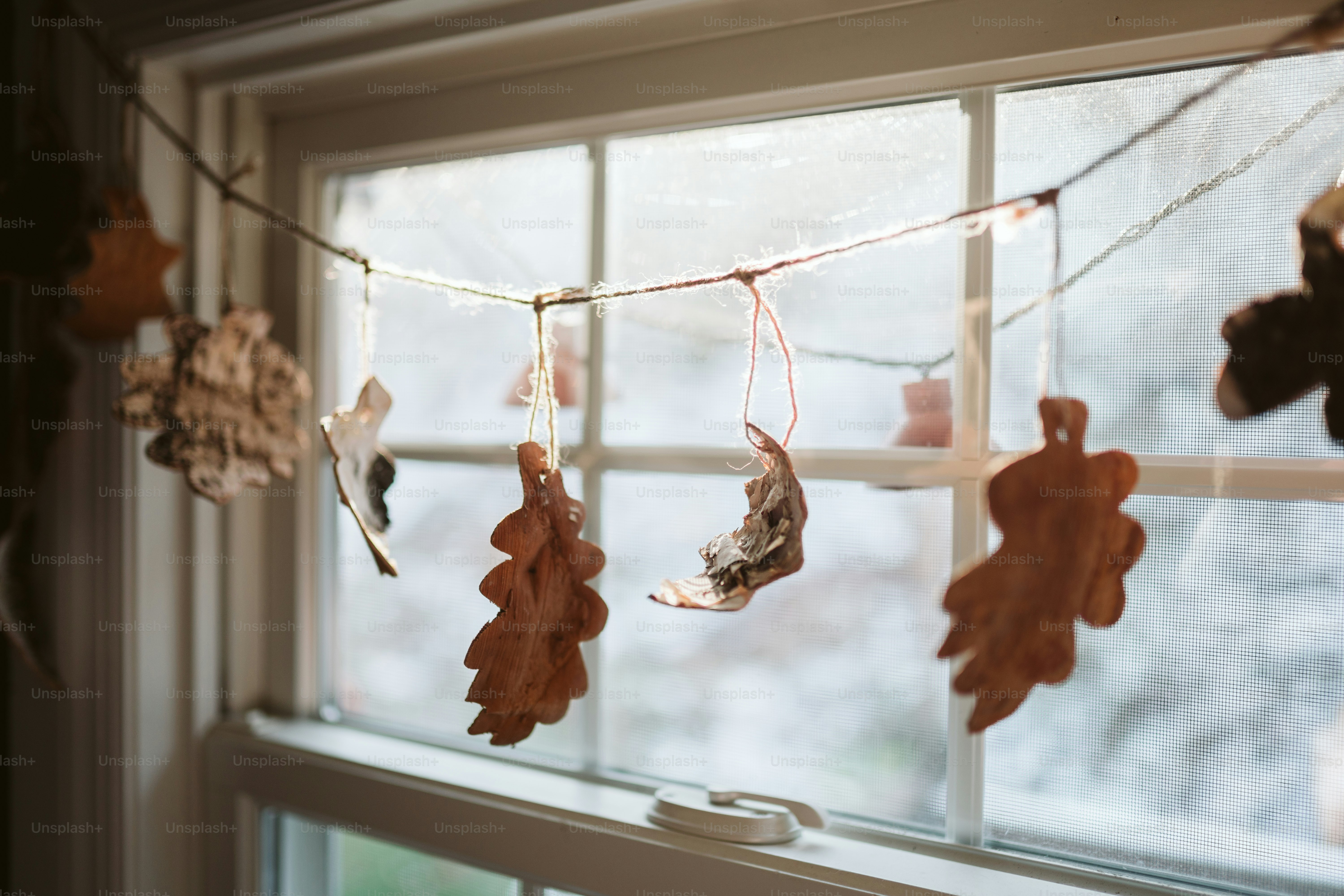 A window with a string of leaves hanging from it photo – Leaf Image on ...
