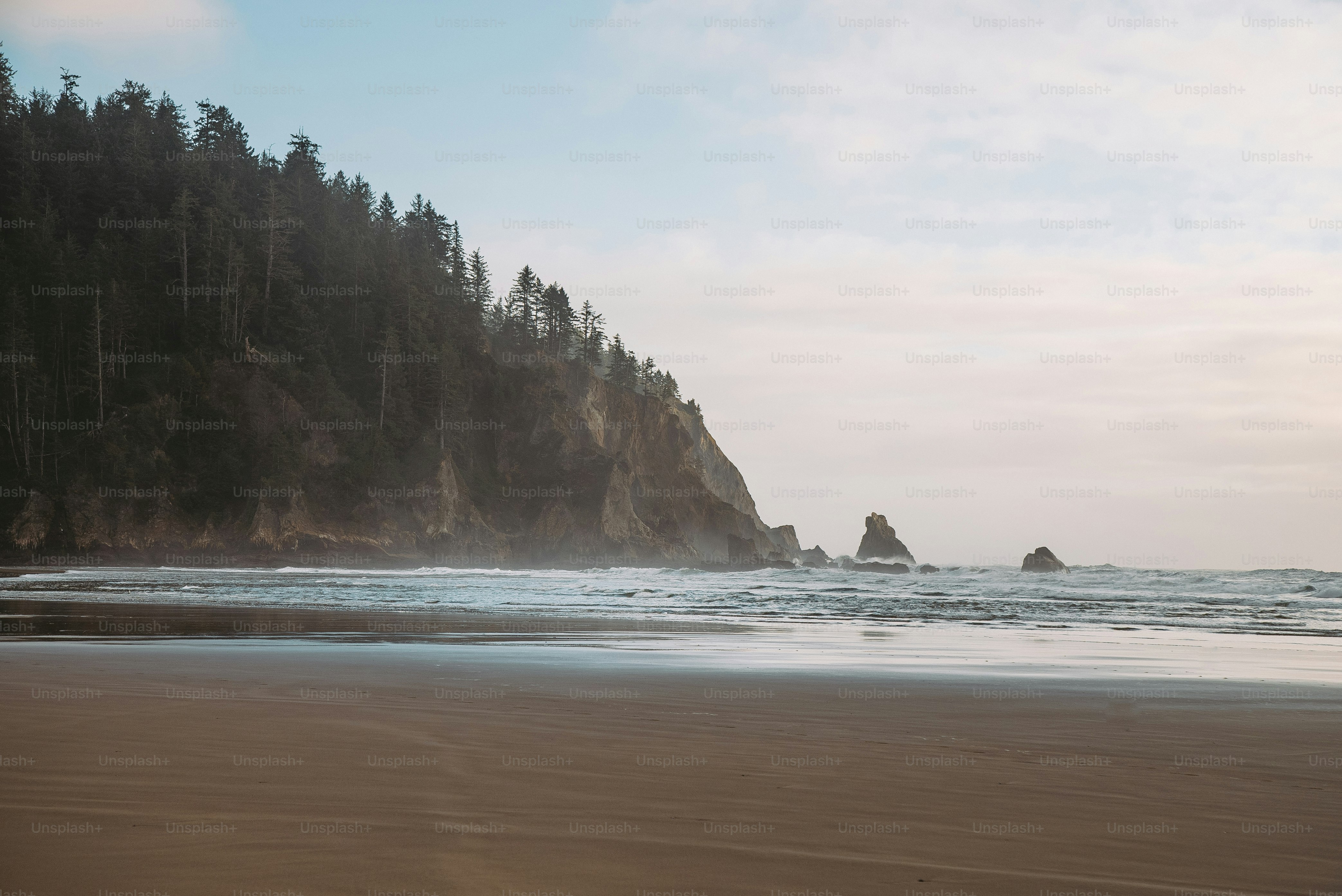 Plage De L'orégon Photos | Télécharger des images gratuites sur Unsplash