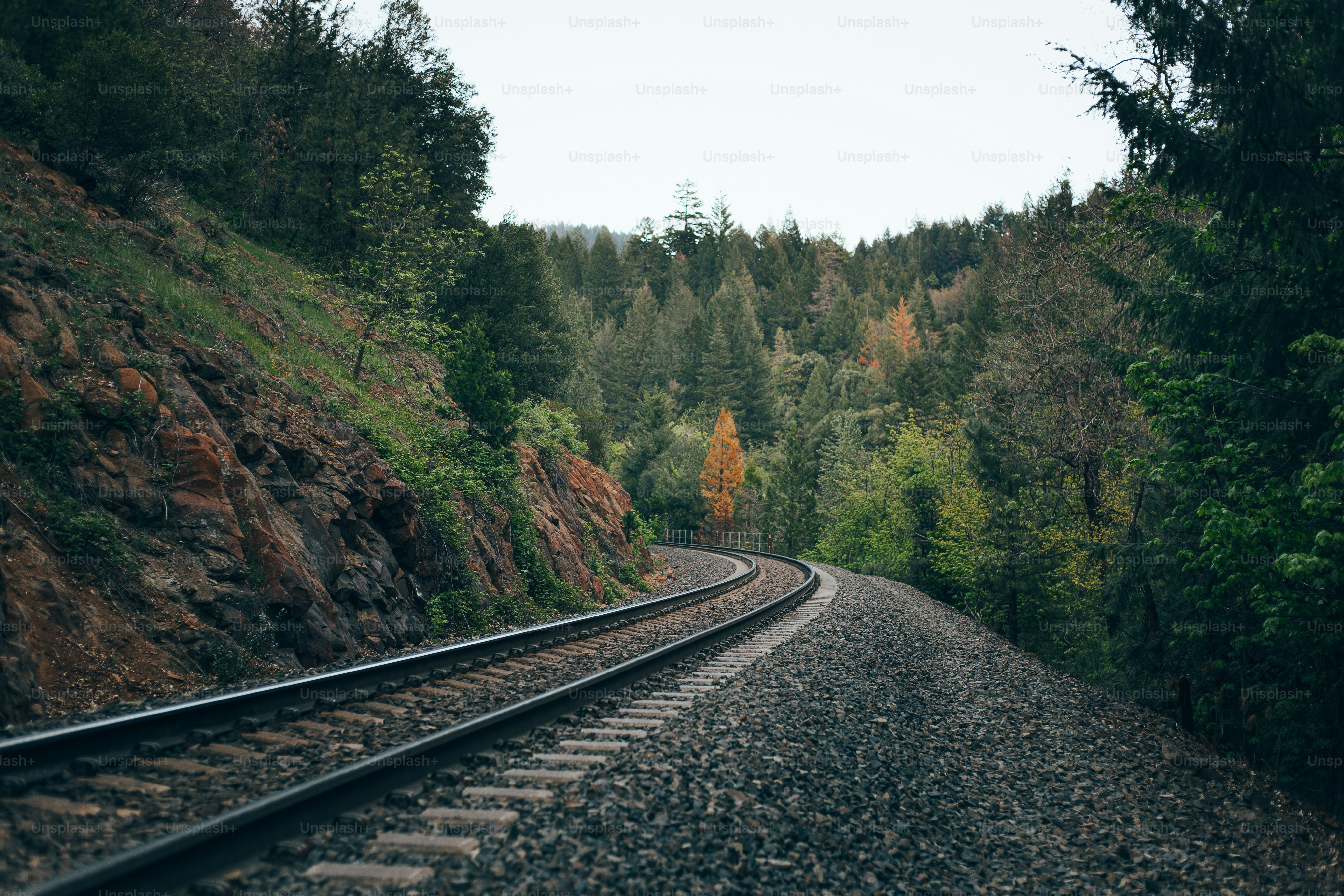 A train track running through a wooded area photo – Railway Image on ...