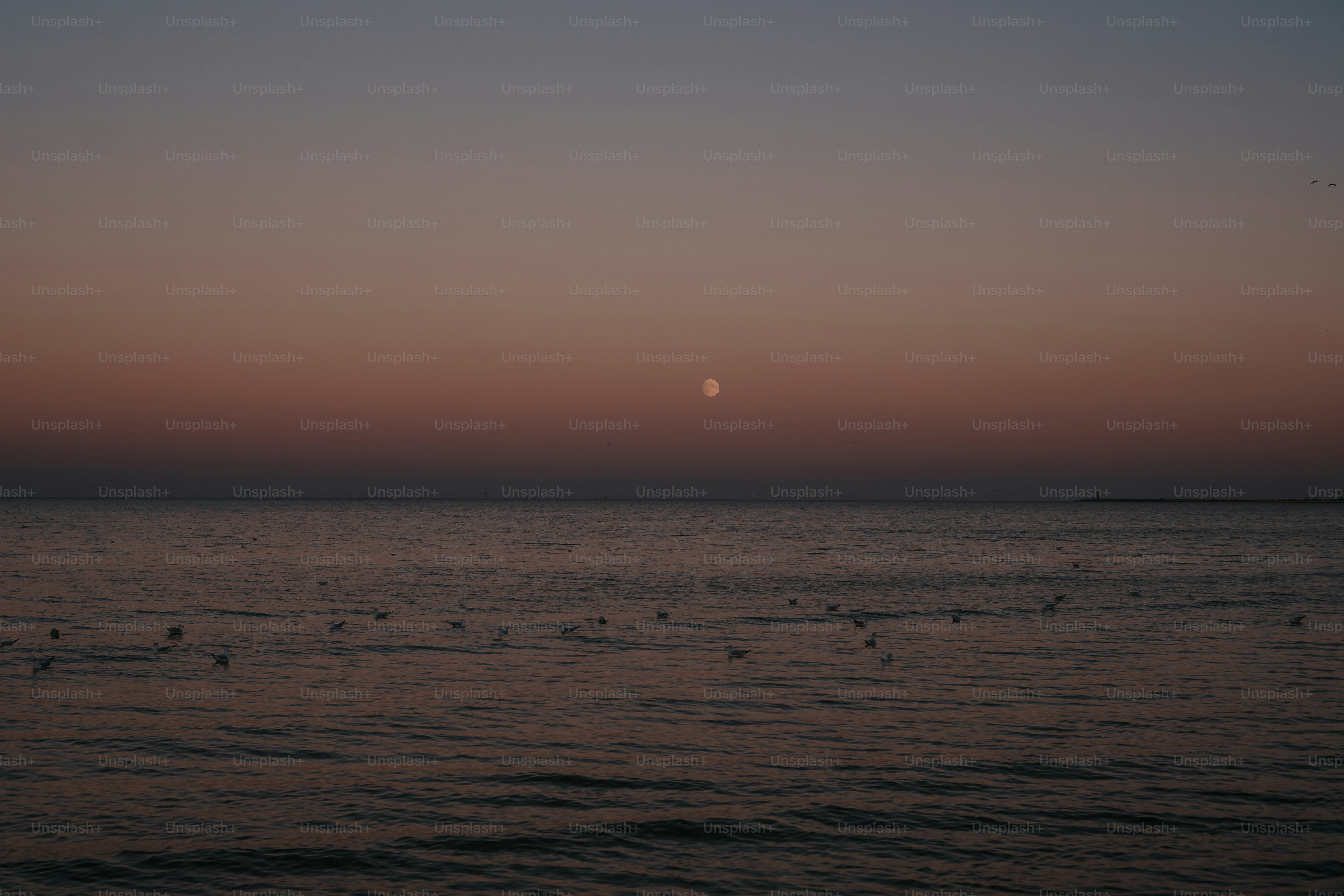 Ocean Moon Pictures | Download Free Images on Unsplash