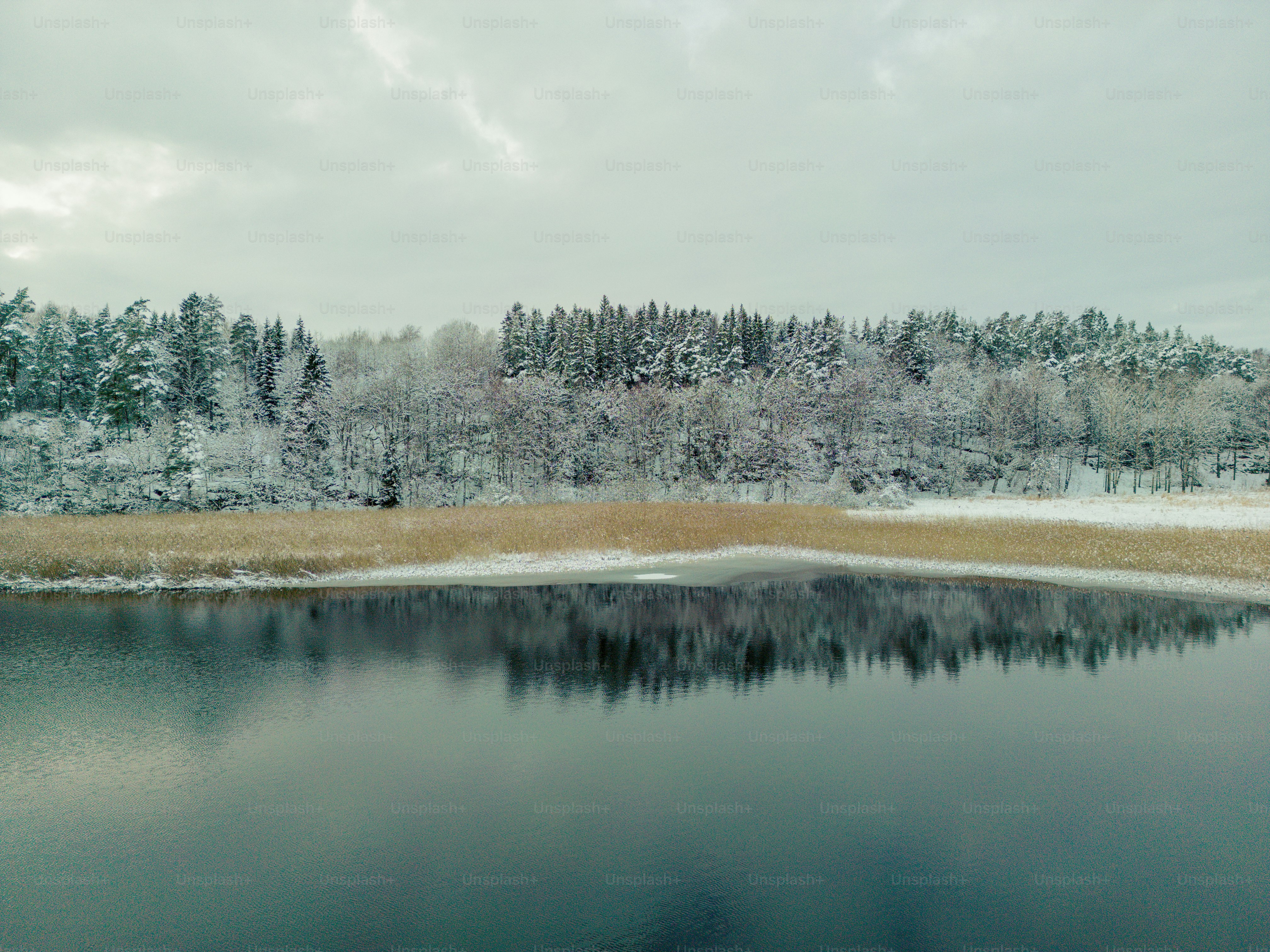 Un petit lac entouré d’arbres enneigés photo – La Suède Photo sur Unsplash
