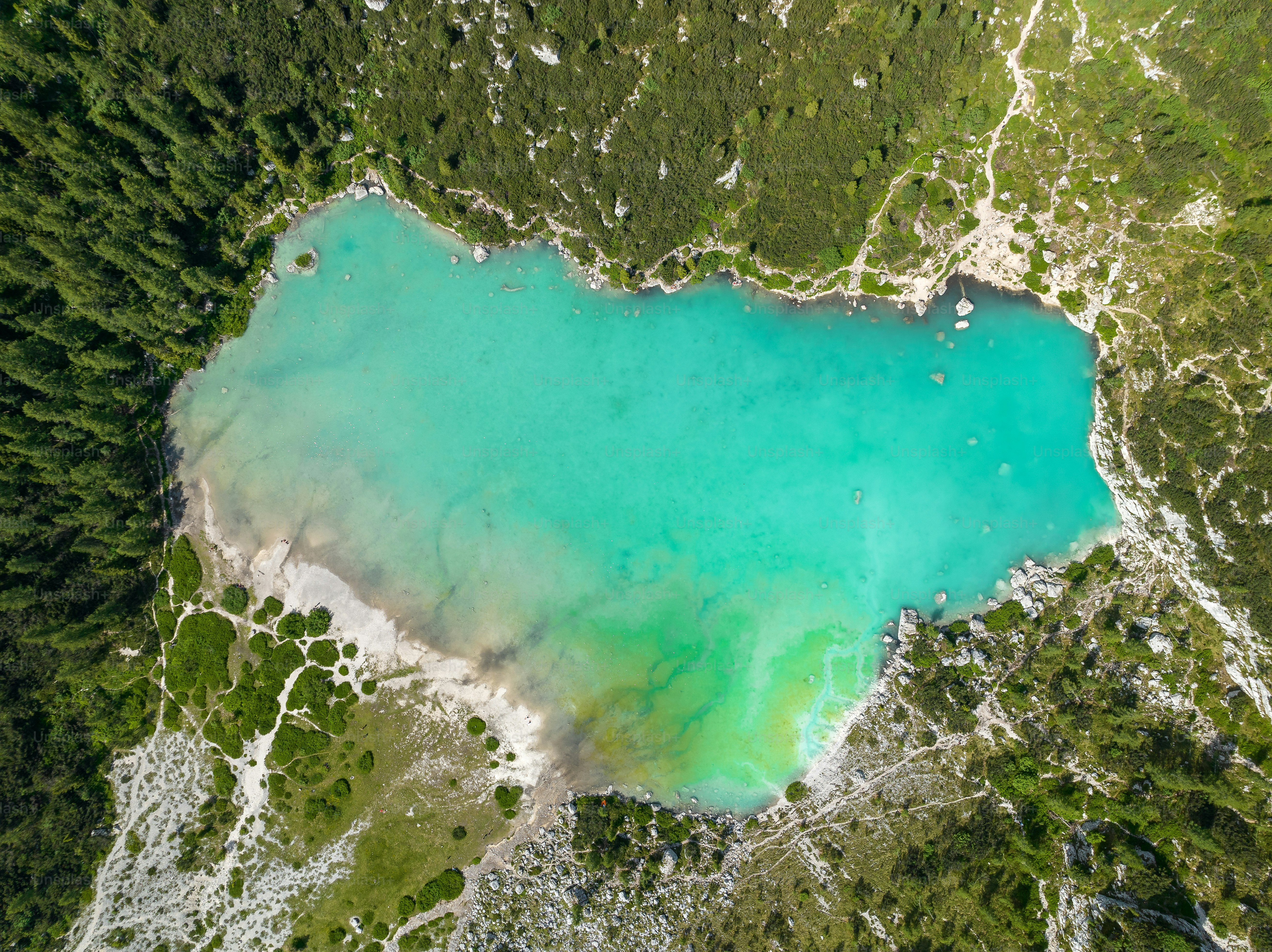 An aerial view of a lake surrounded by trees photo – Outdoors Image on ...