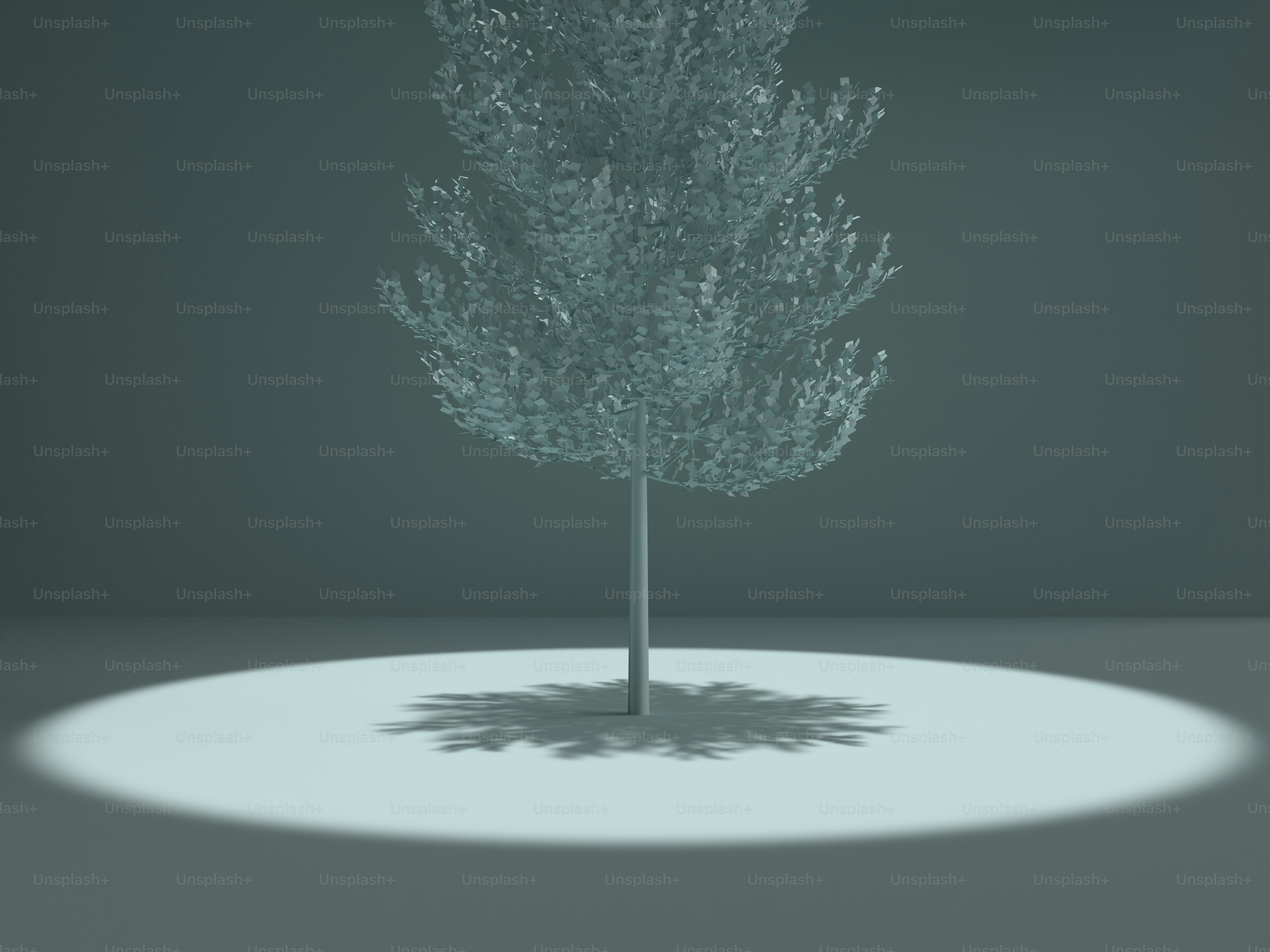 Light Color Background Pictures | Download Free Images on Unsplash