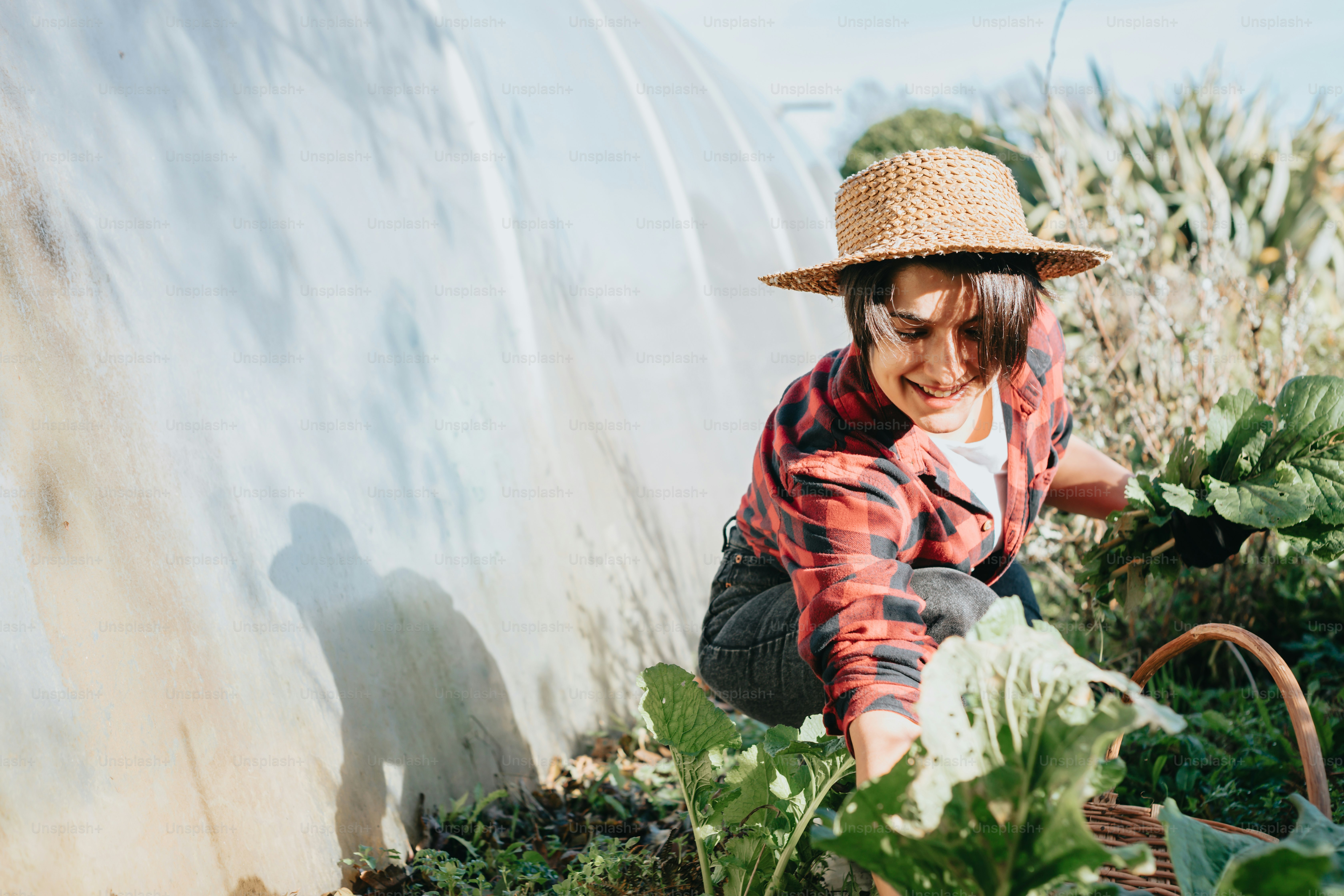 Gardener Pictures | Download Free Images on Unsplash
