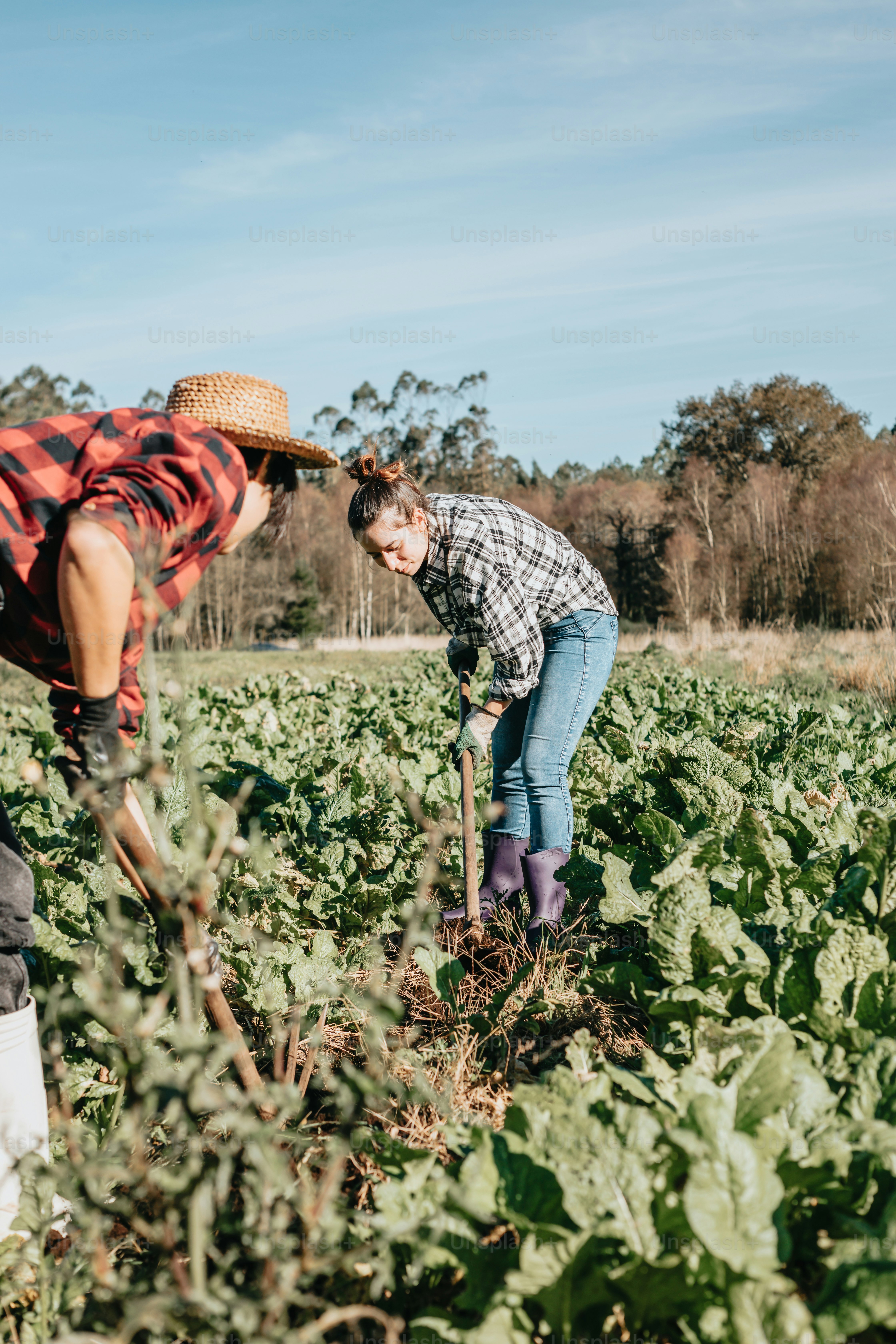 A couple of people that are in a field photo – Weeding Image on Unsplash