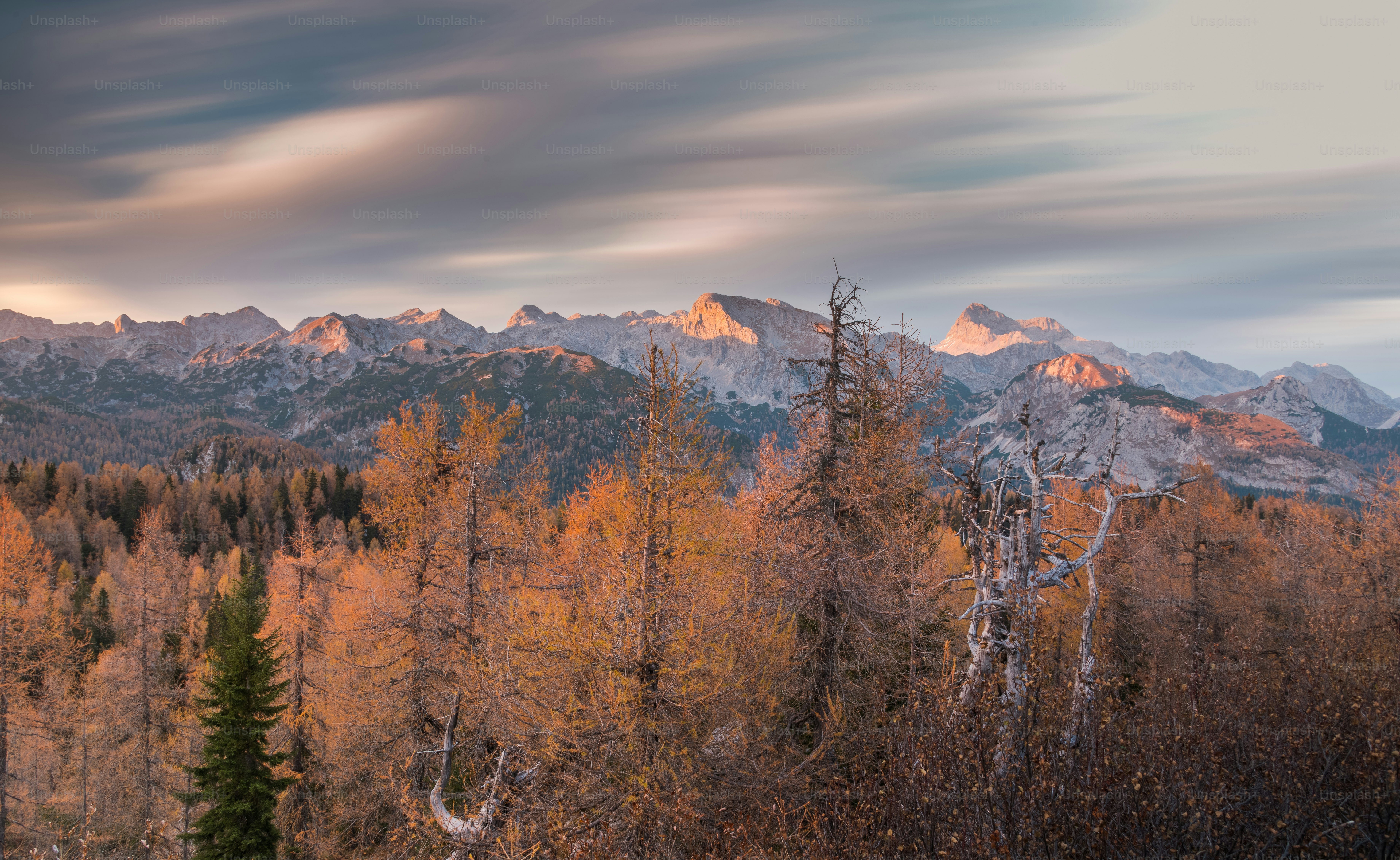 A view of a mountain range with trees in the foreground photo – Fall ...