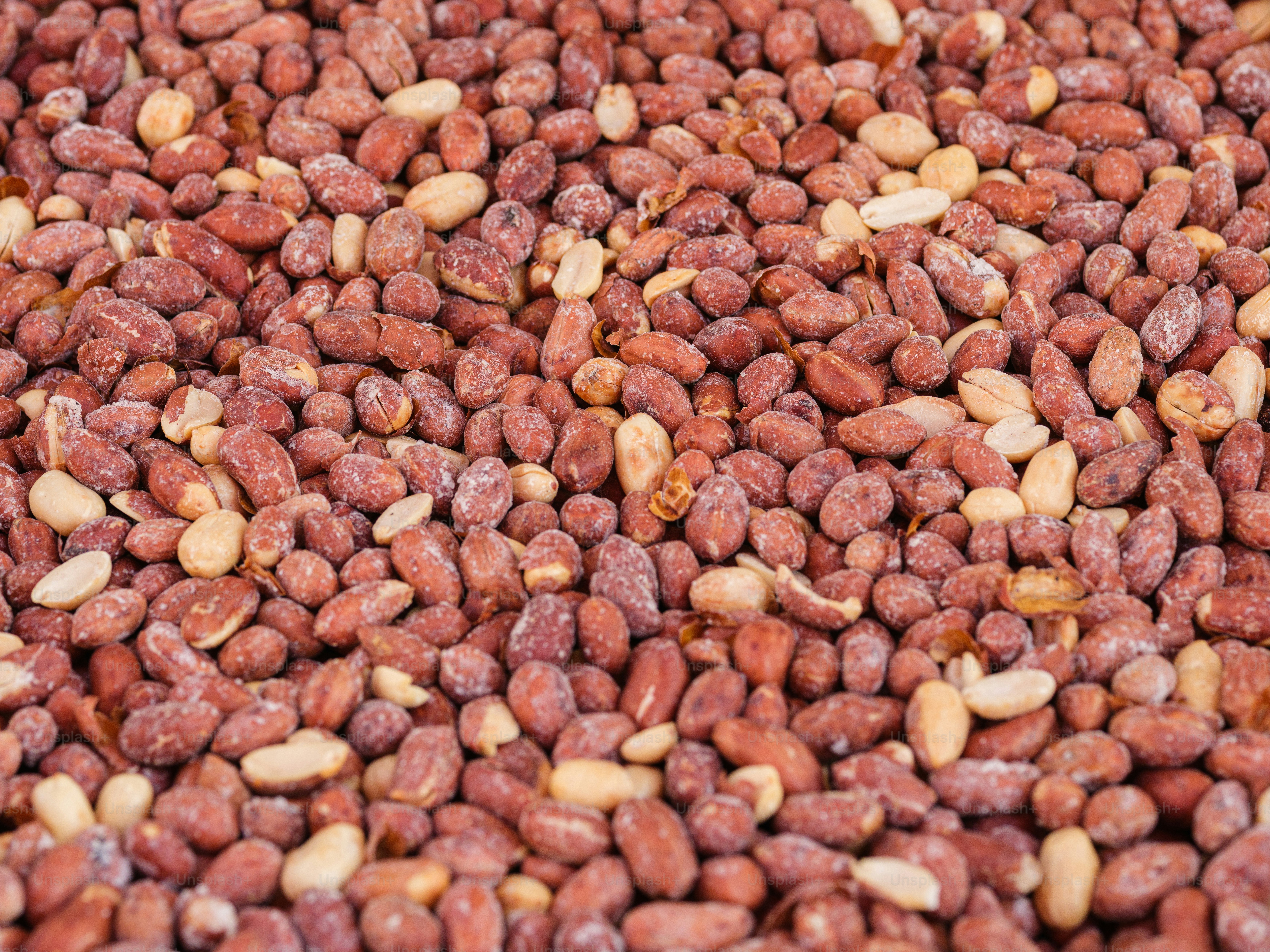 500+ Peanut Pictures [HD] | Download Free Images on Unsplash