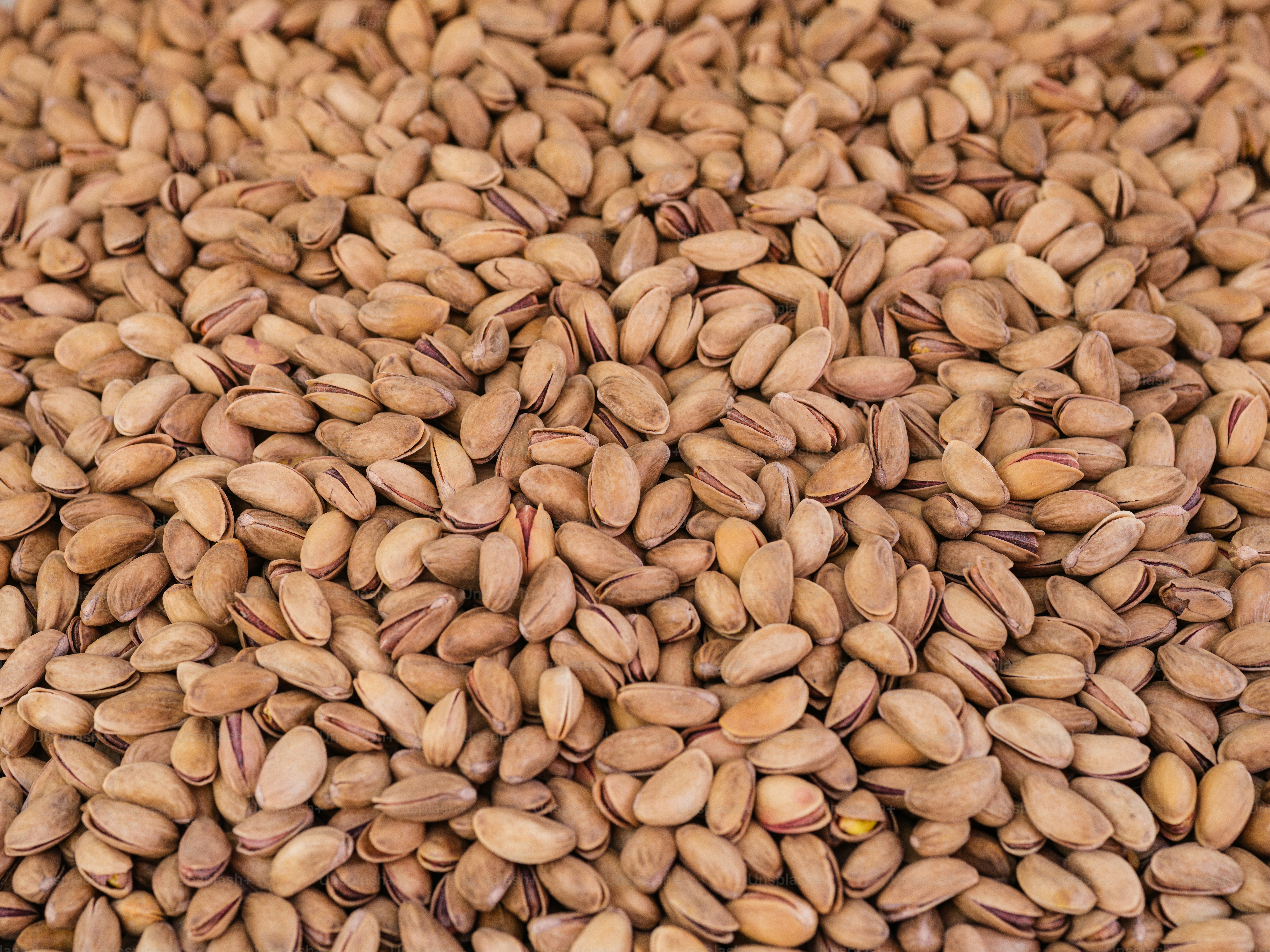 A large pile of seeds sitting on top of a table photo – Nuts Image on ...