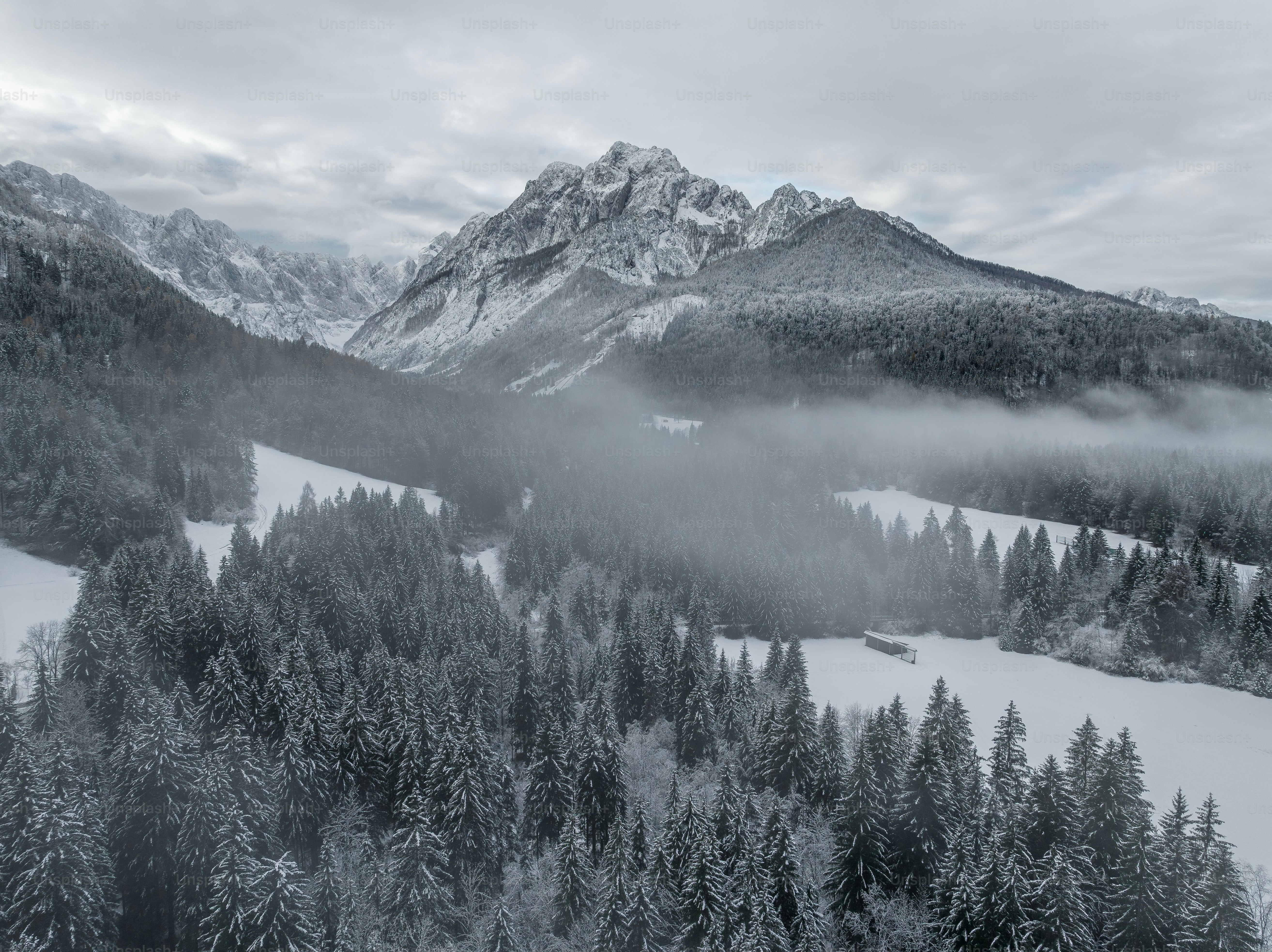 A mountain covered in snow and surrounded by trees photo – Snow capped ...