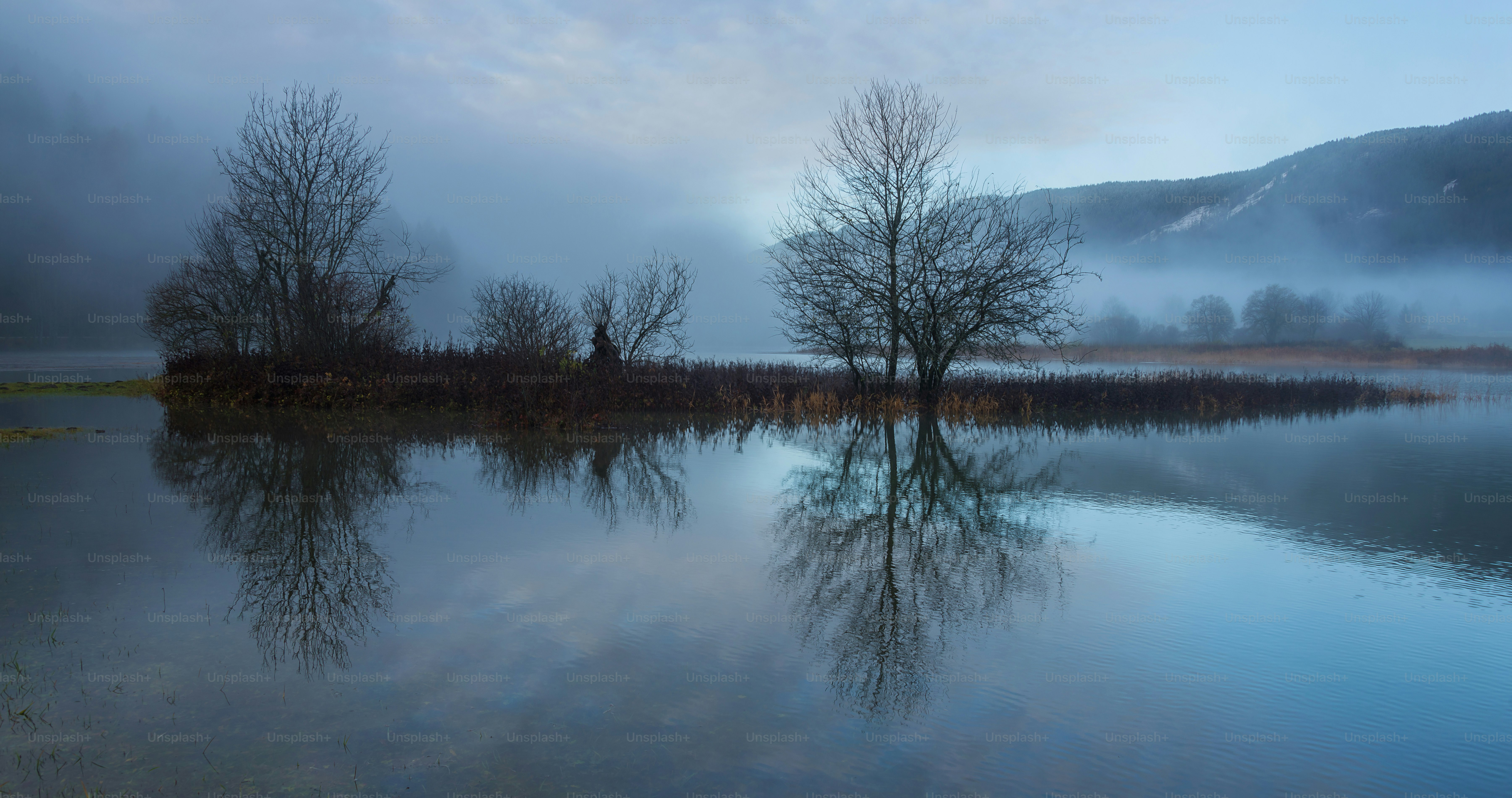 A body of water surrounded by trees and fog photo – Mountains Image on ...