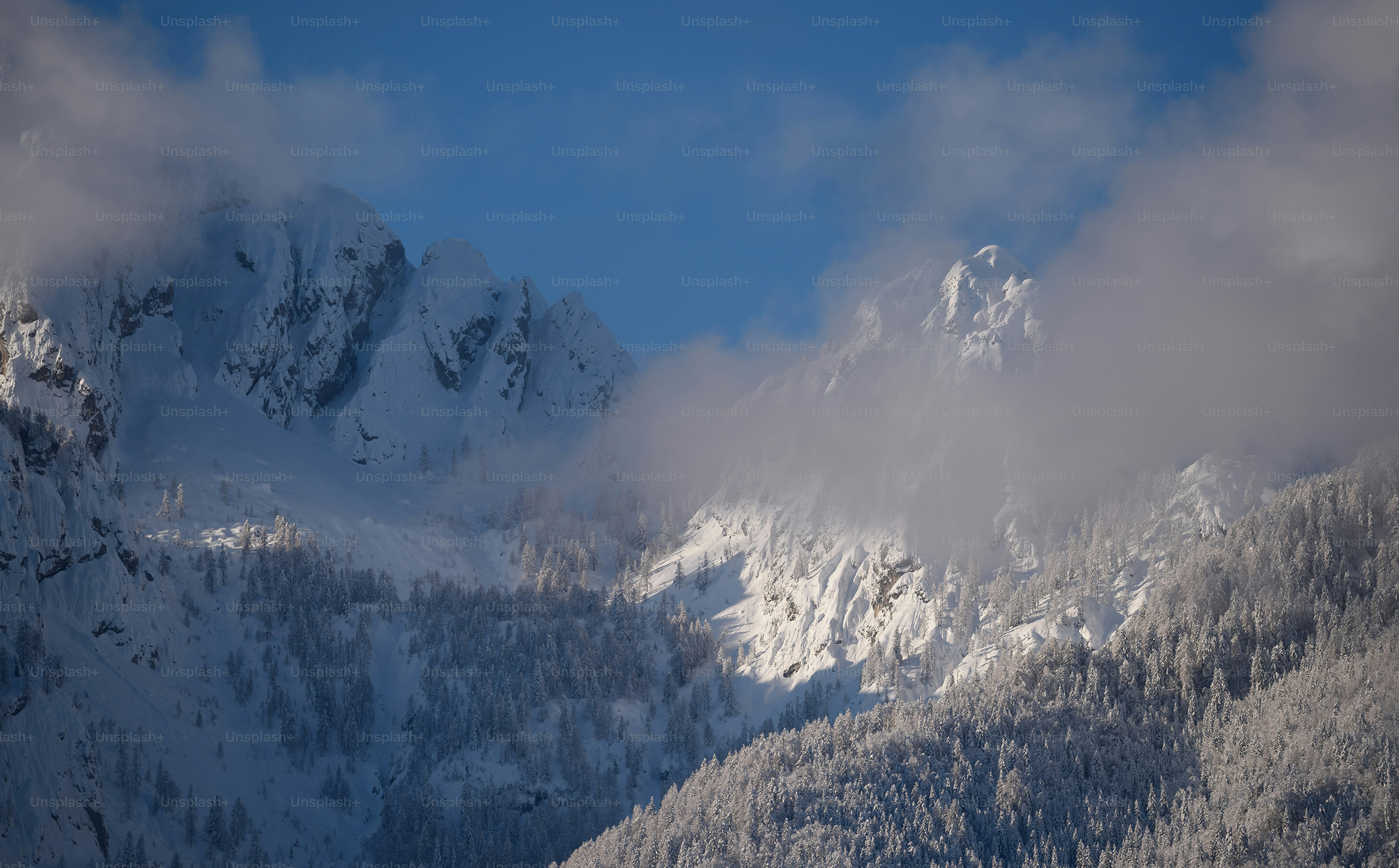 350+ Graphic Design Pictures [HD] | Download Free Images on Unsplash