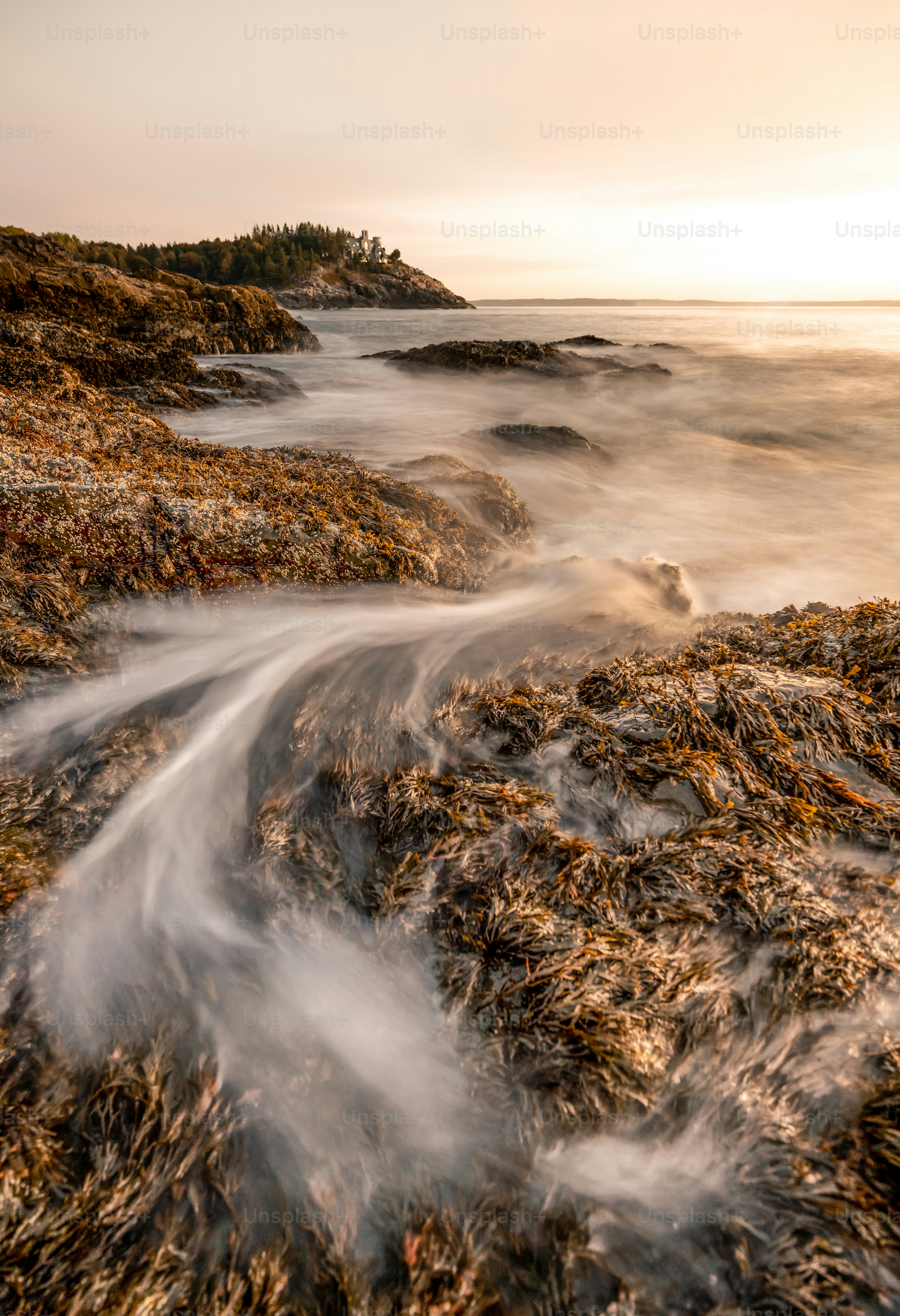 350+ Wind Pictures | Download Free Images on Unsplash