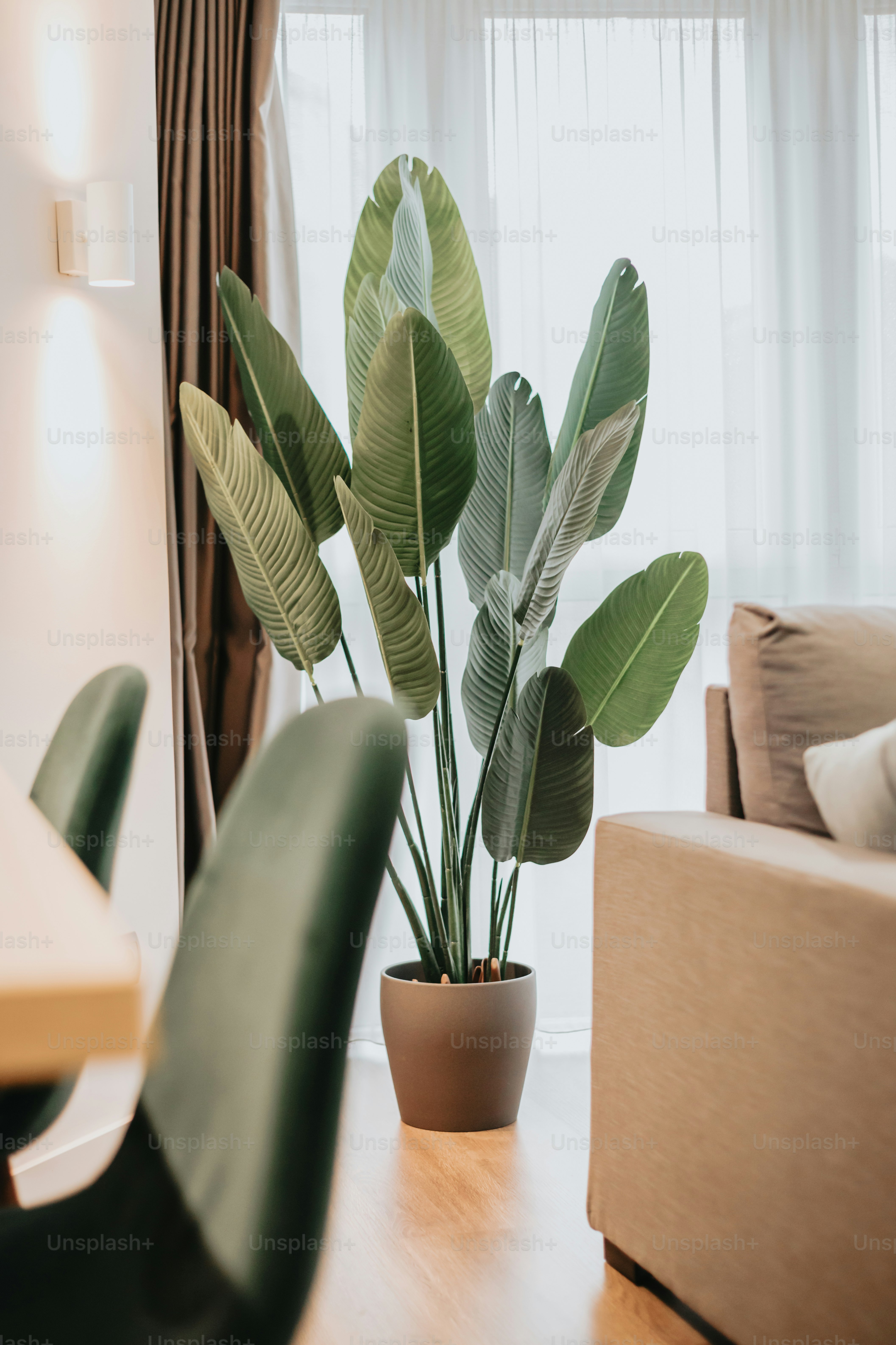 Foto Una sala de estar con un sofá y una mesa con una planta en ella ...