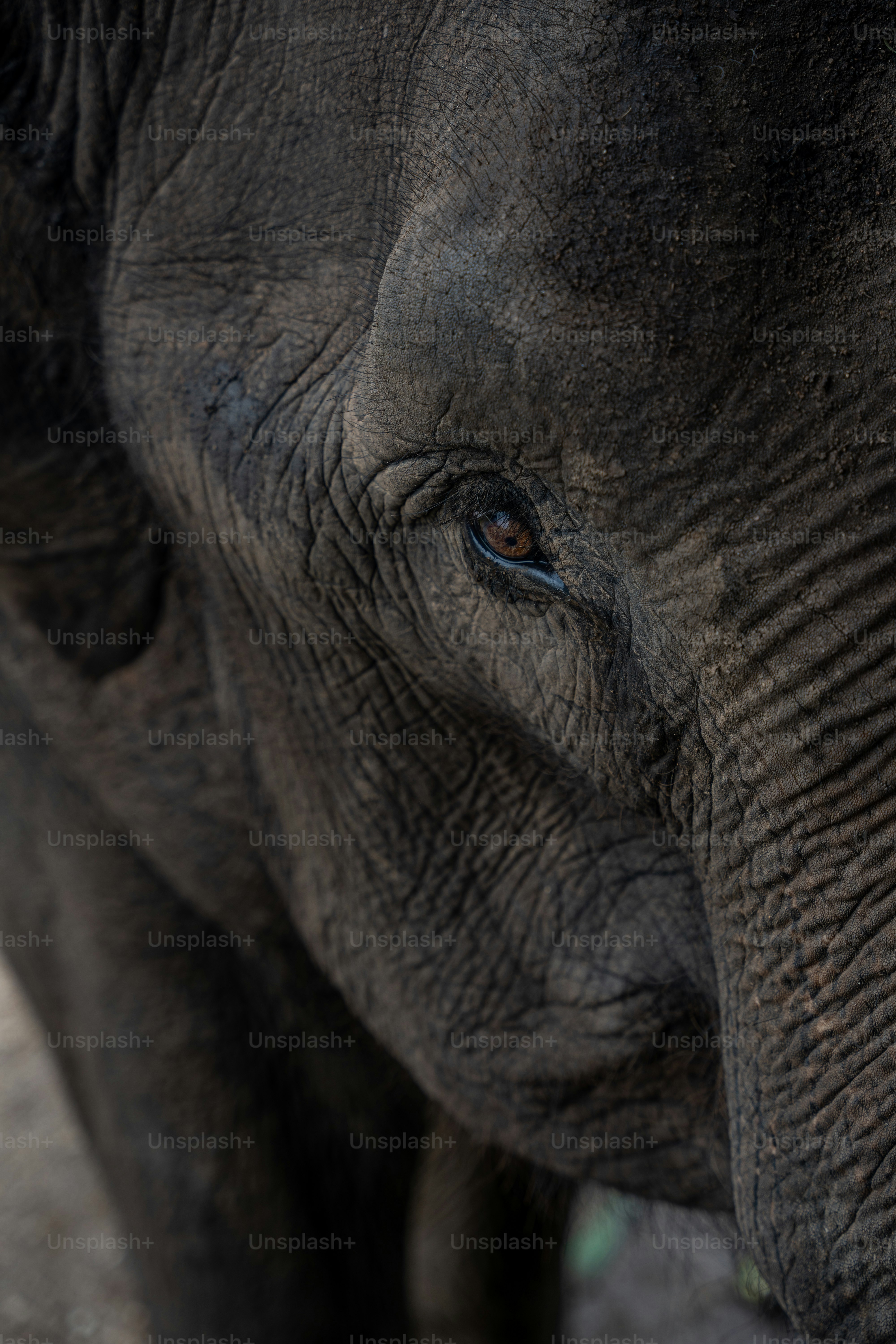 750+ Big Pictures | Download Free Images & Stock Photos on Unsplash