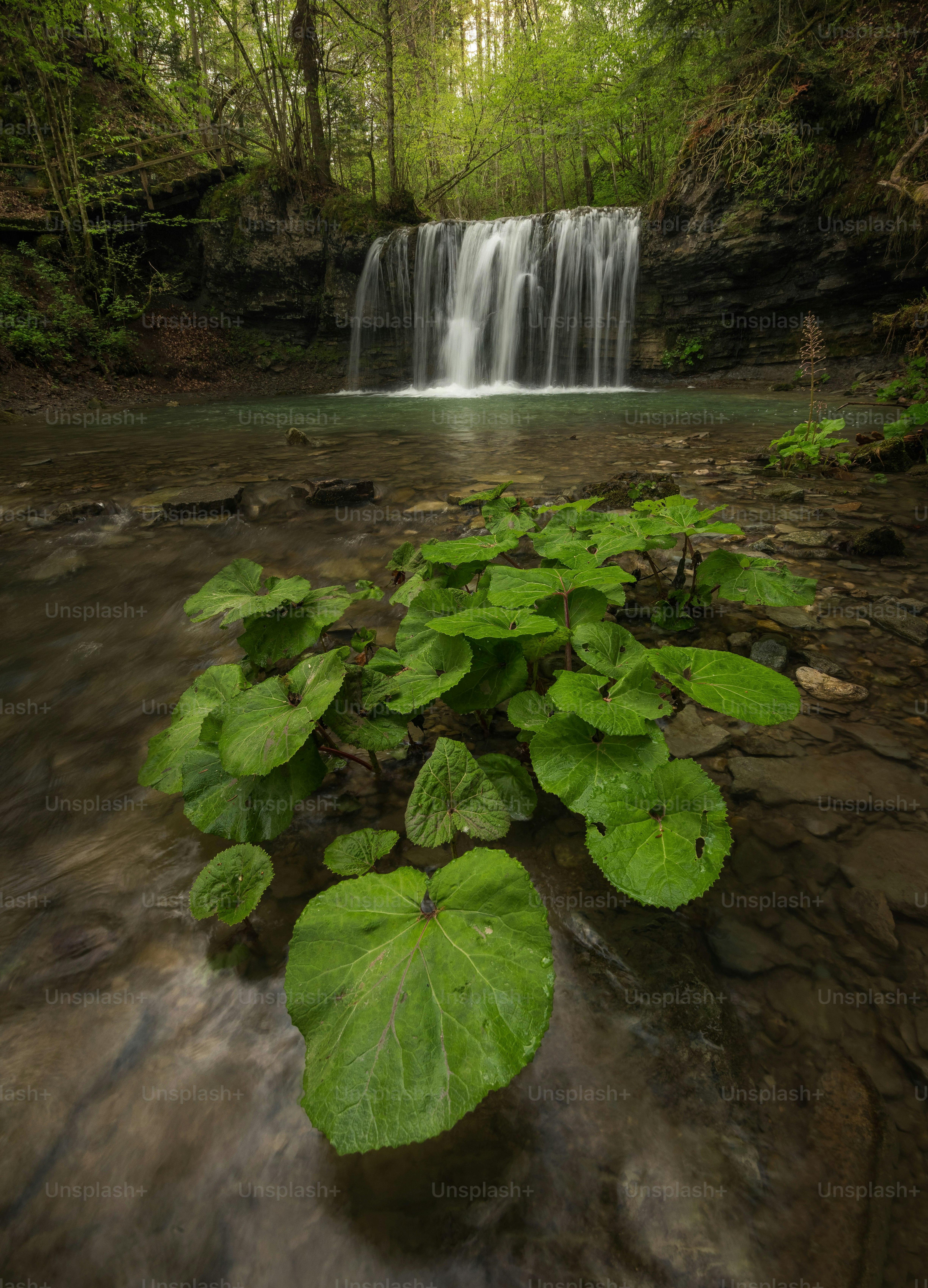 A waterfall in a forest photo – Flowing water Image on Unsplash