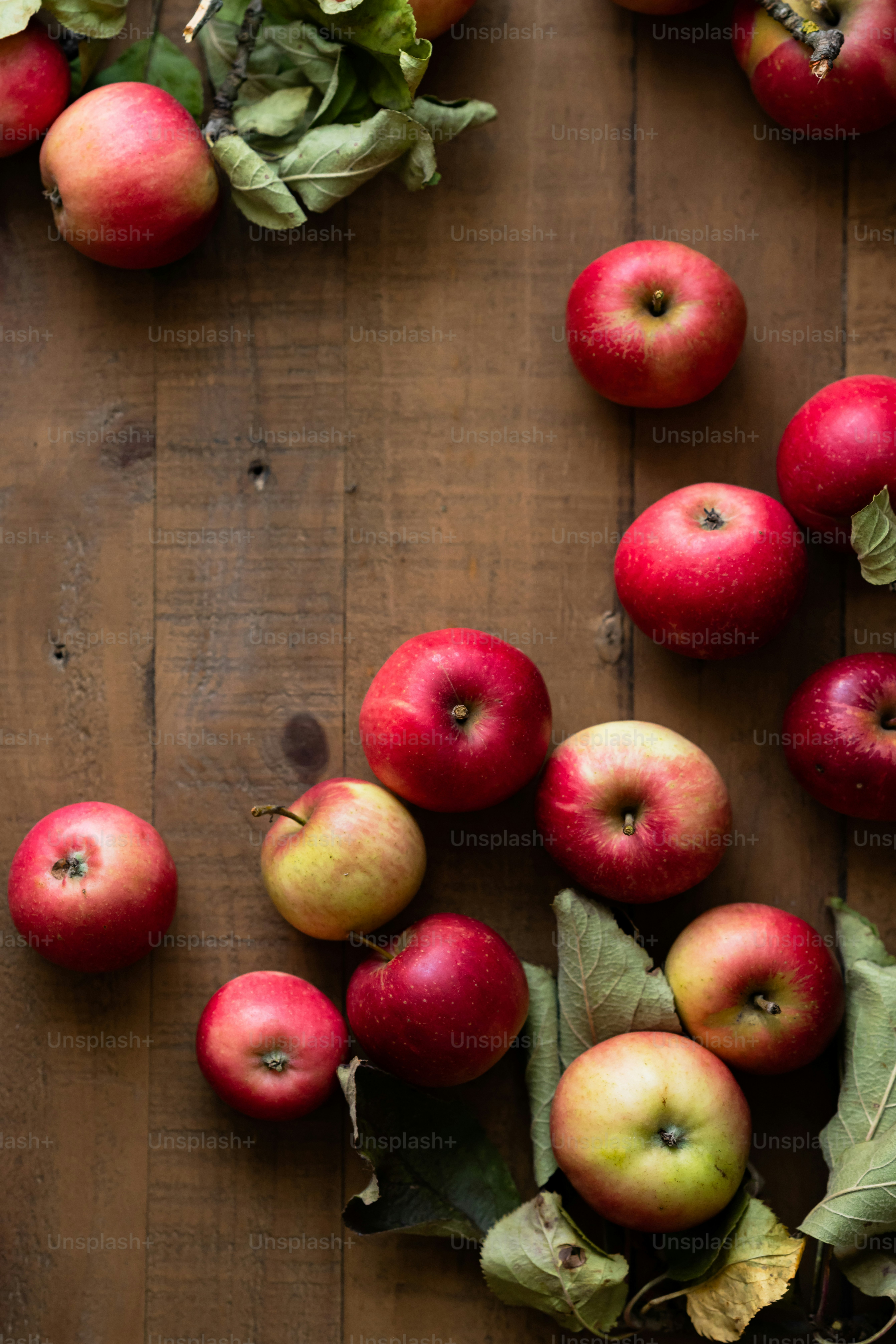 Pommes D’automne Photos | Télécharger des images gratuites sur Unsplash