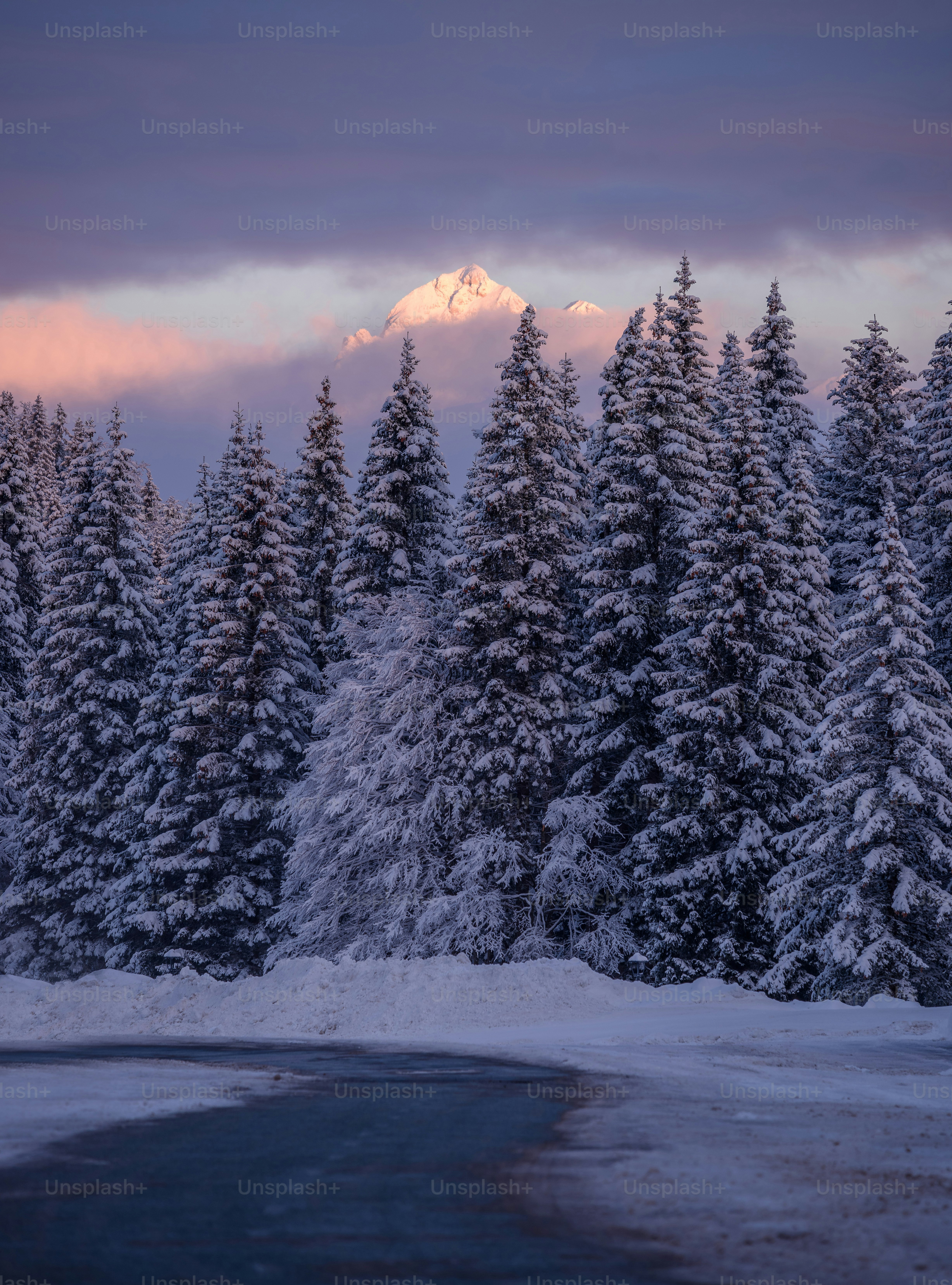 A snowy forest with a pink and purple sky photo – Snowstorm Image on ...