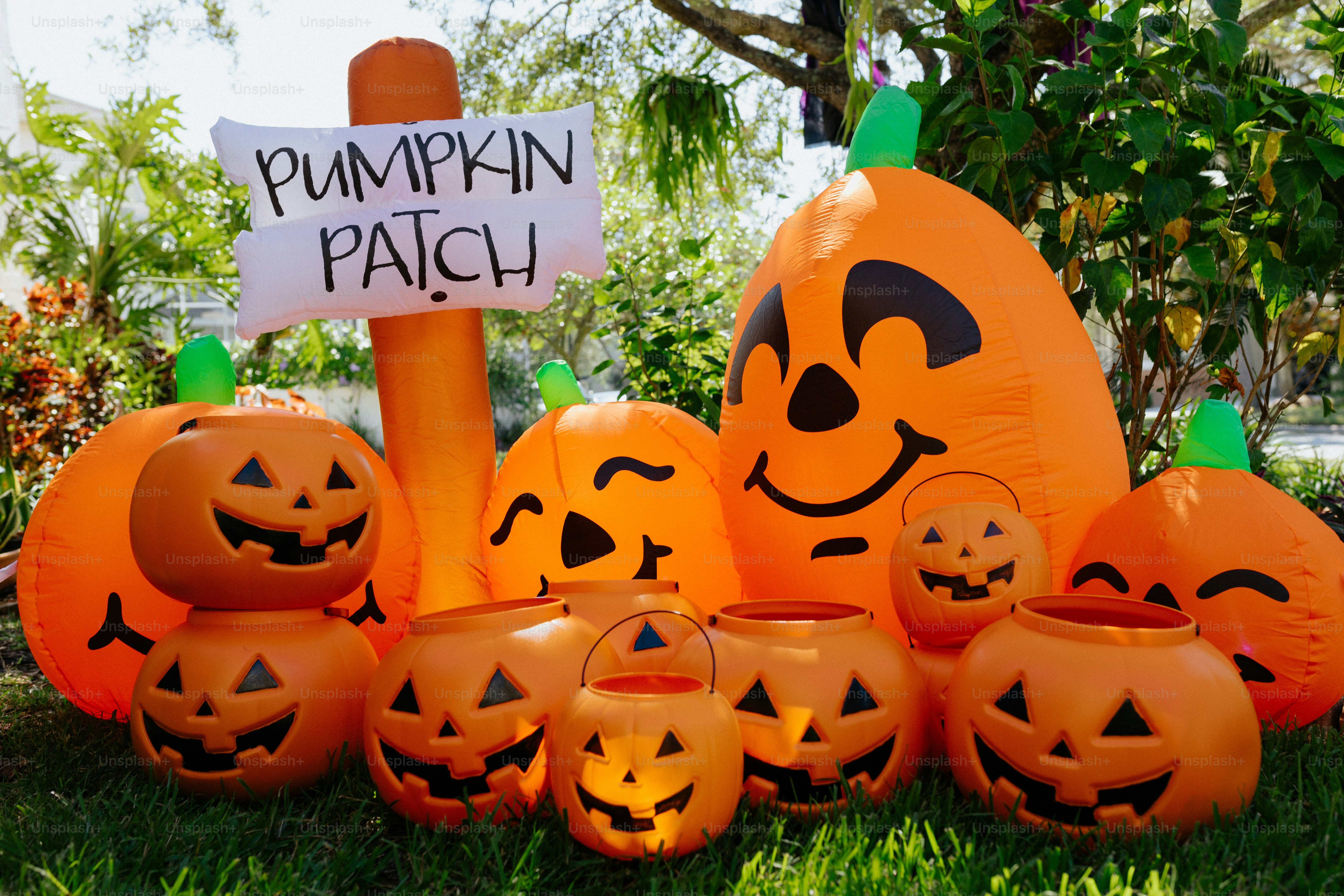 A group of pumpkins with faces carved into them photo – Pumpkin patch ...